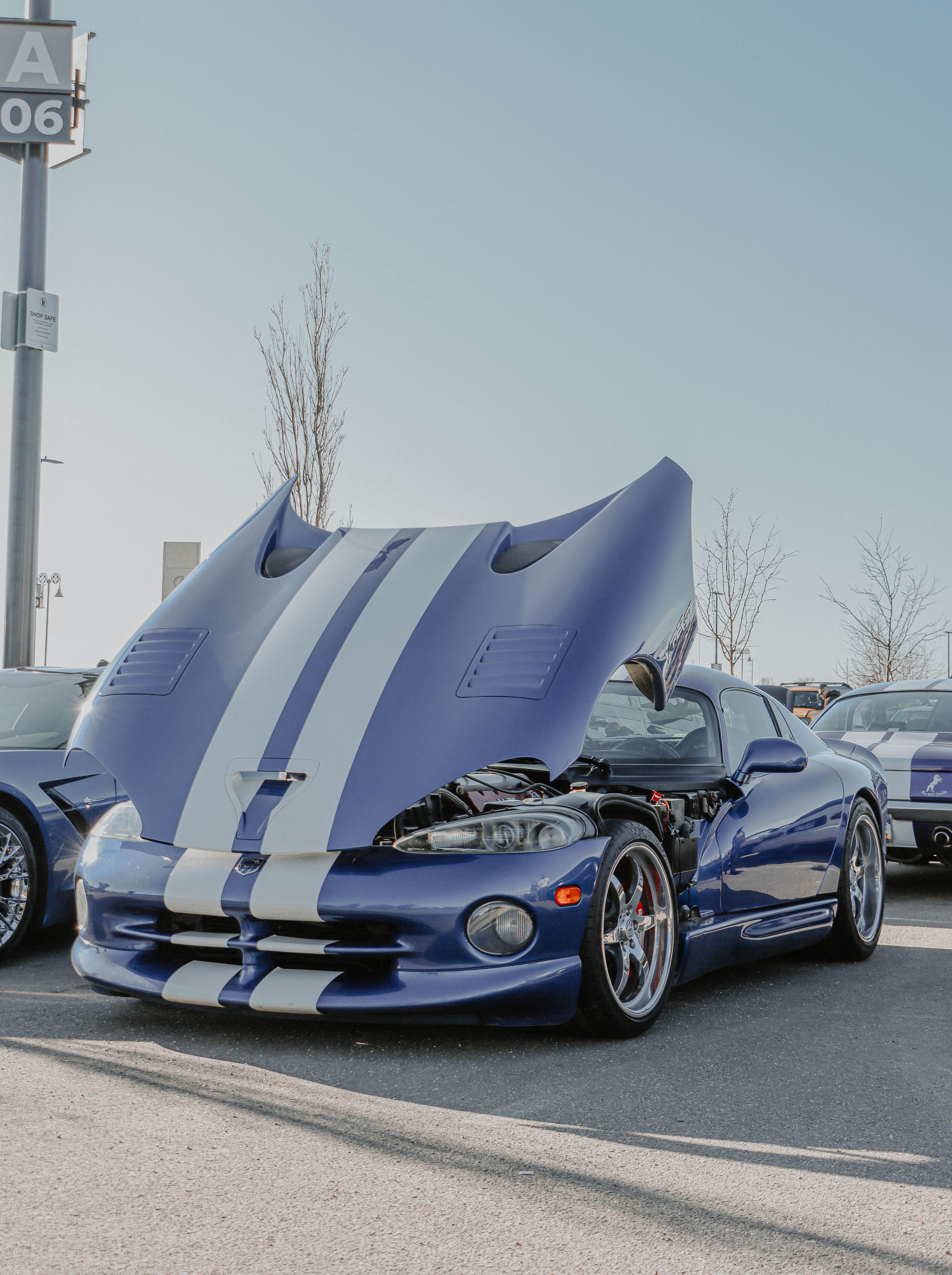 Dodge Viper Photos, Download The BEST Free Dodge Viper Stock Photos ...