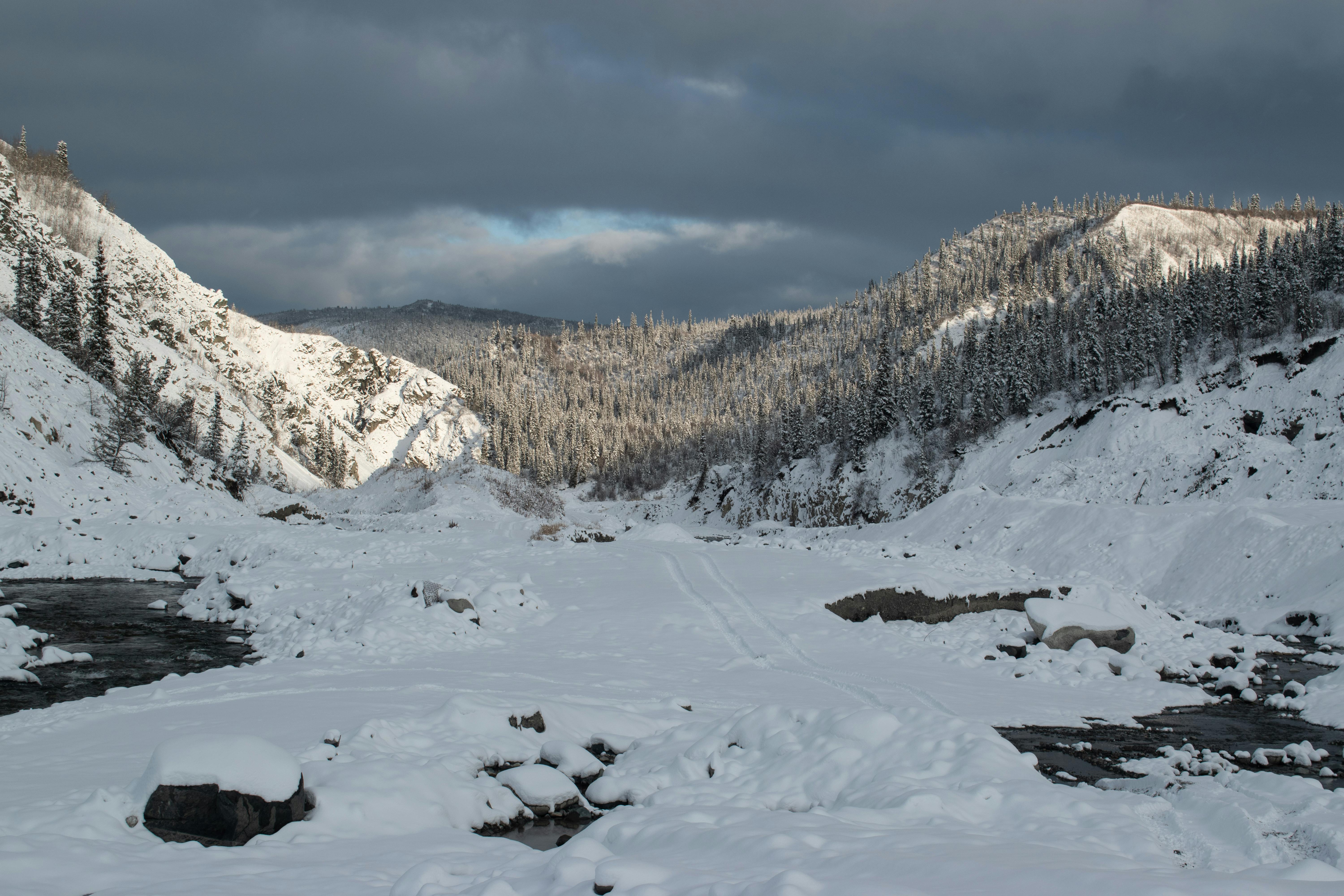 1.000+ 6000 Congratulations On Yt Bilder und Fotos · Kostenlos ...