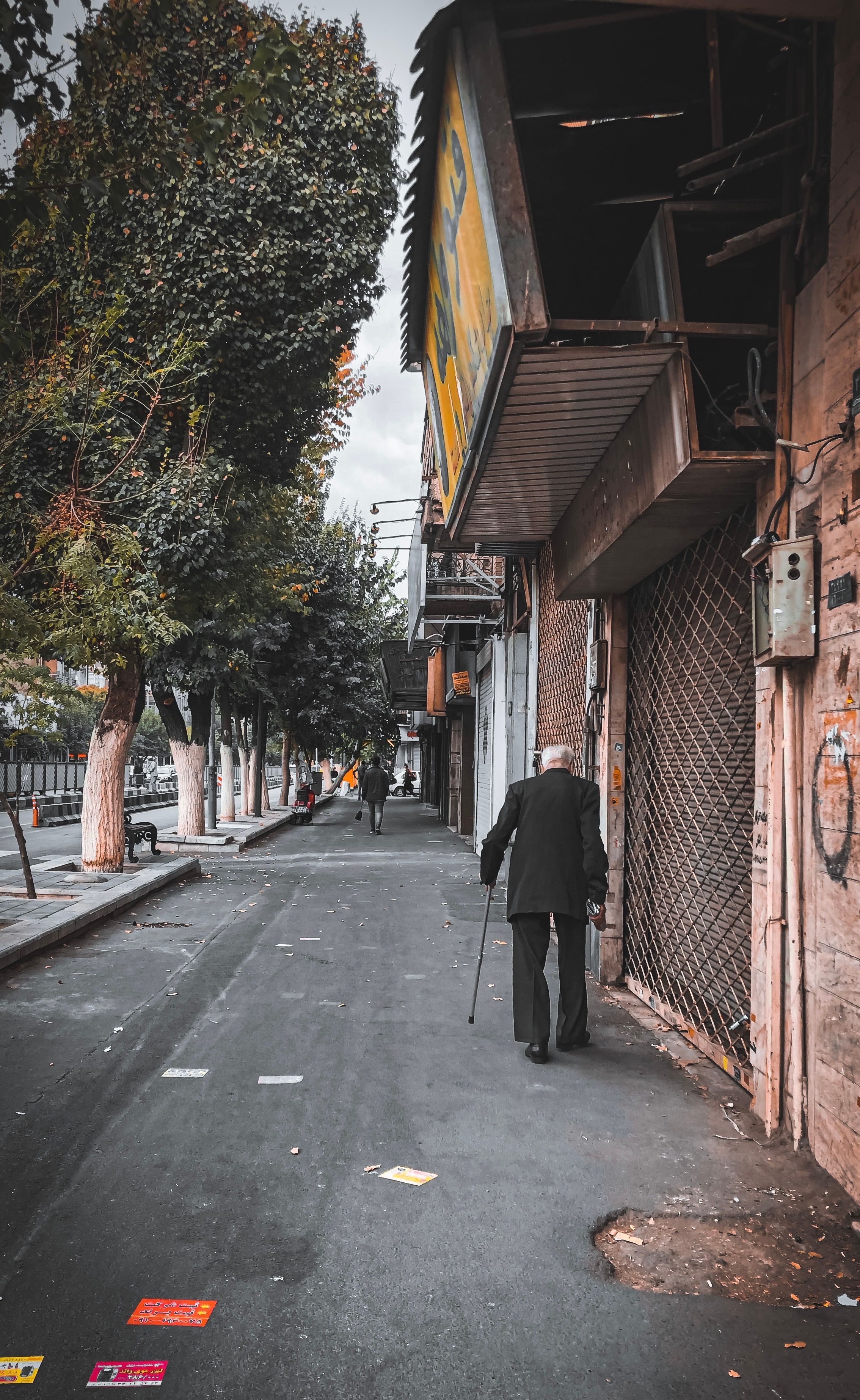 Tehran Photos, Download The BEST Free Tehran Stock Photos & HD Images