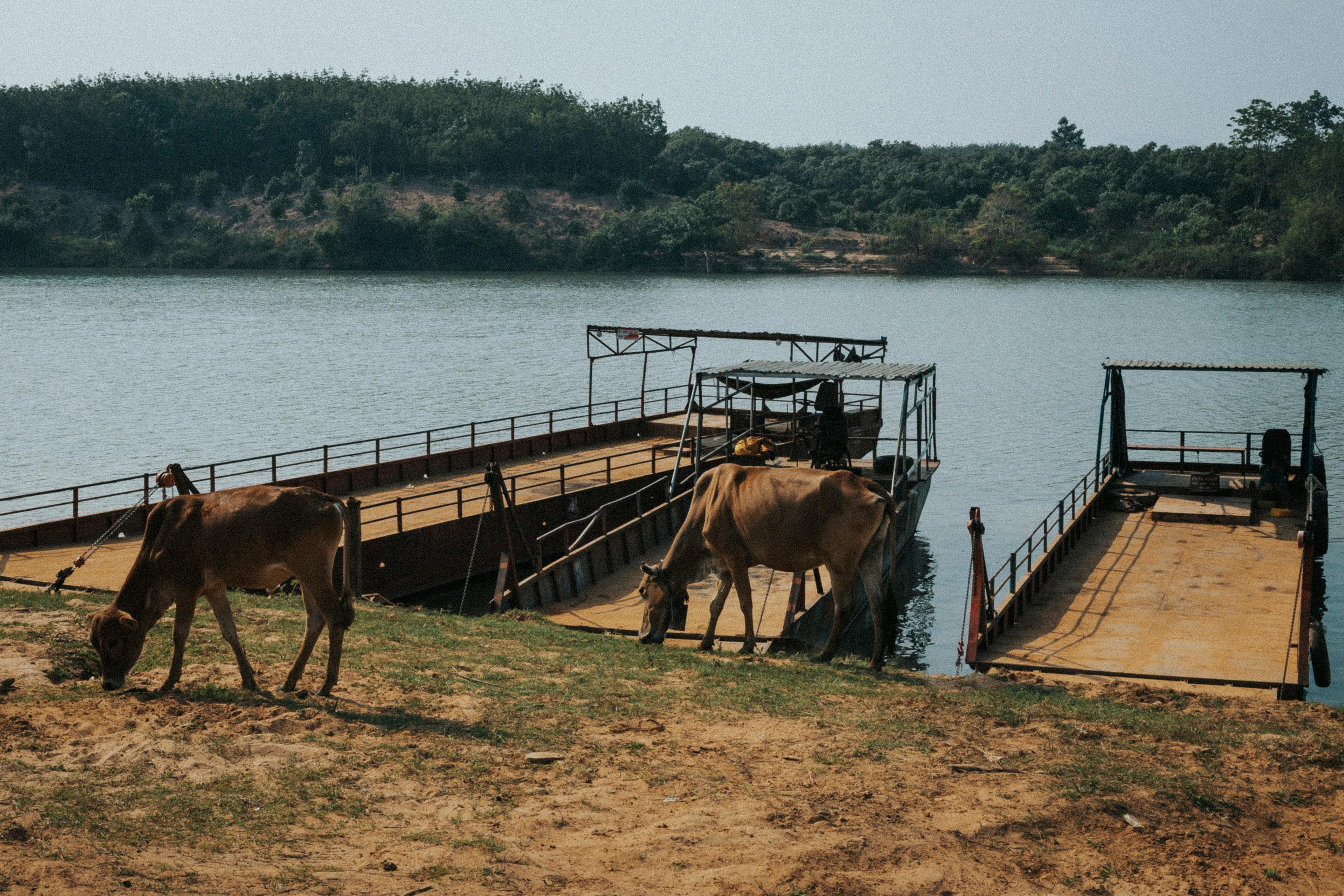 Landscape with Trees and a Ferry on a River · Free Stock Photo