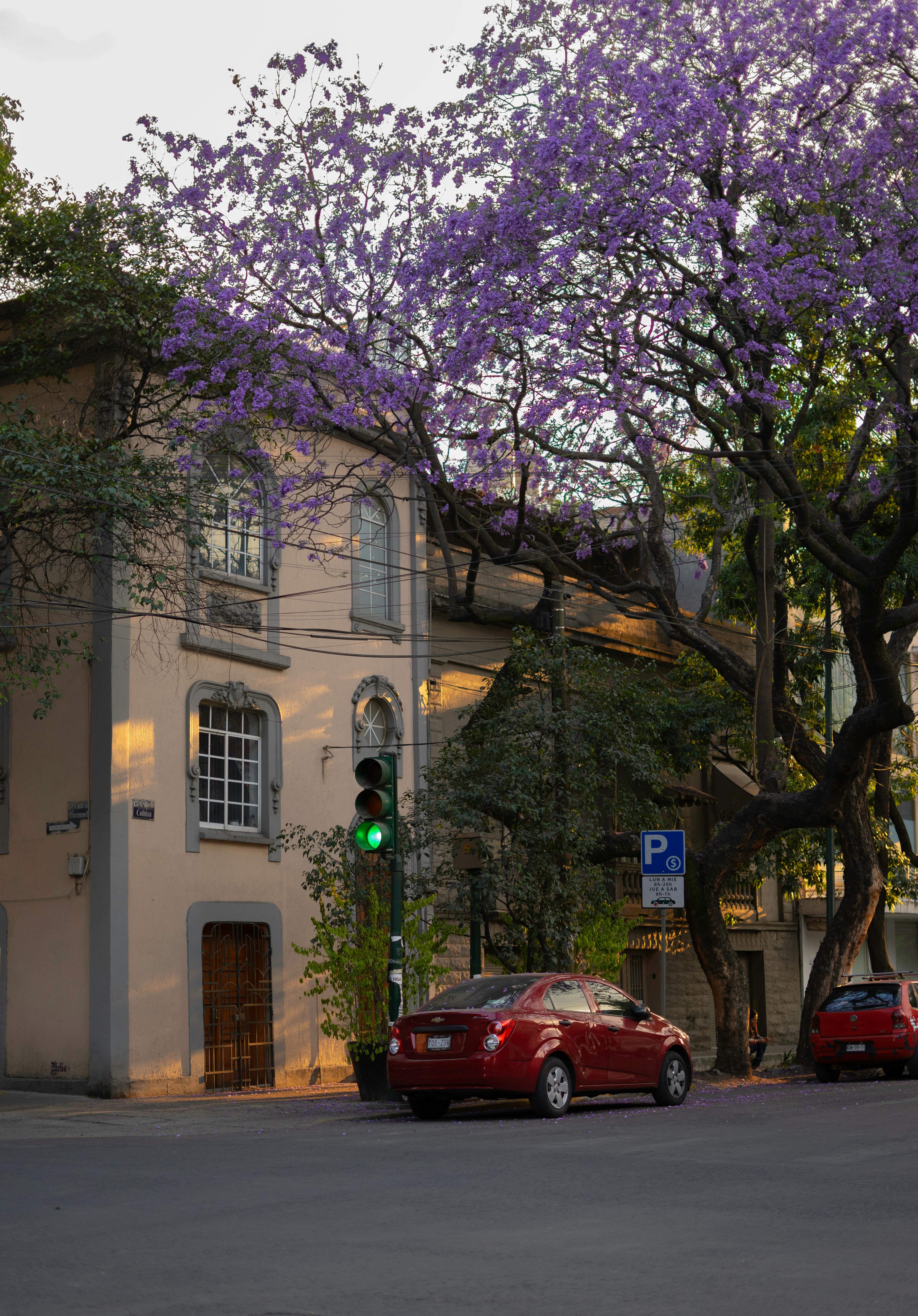 Spring Mexico Photos, Download The BEST Free Spring Mexico Stock Photos ...