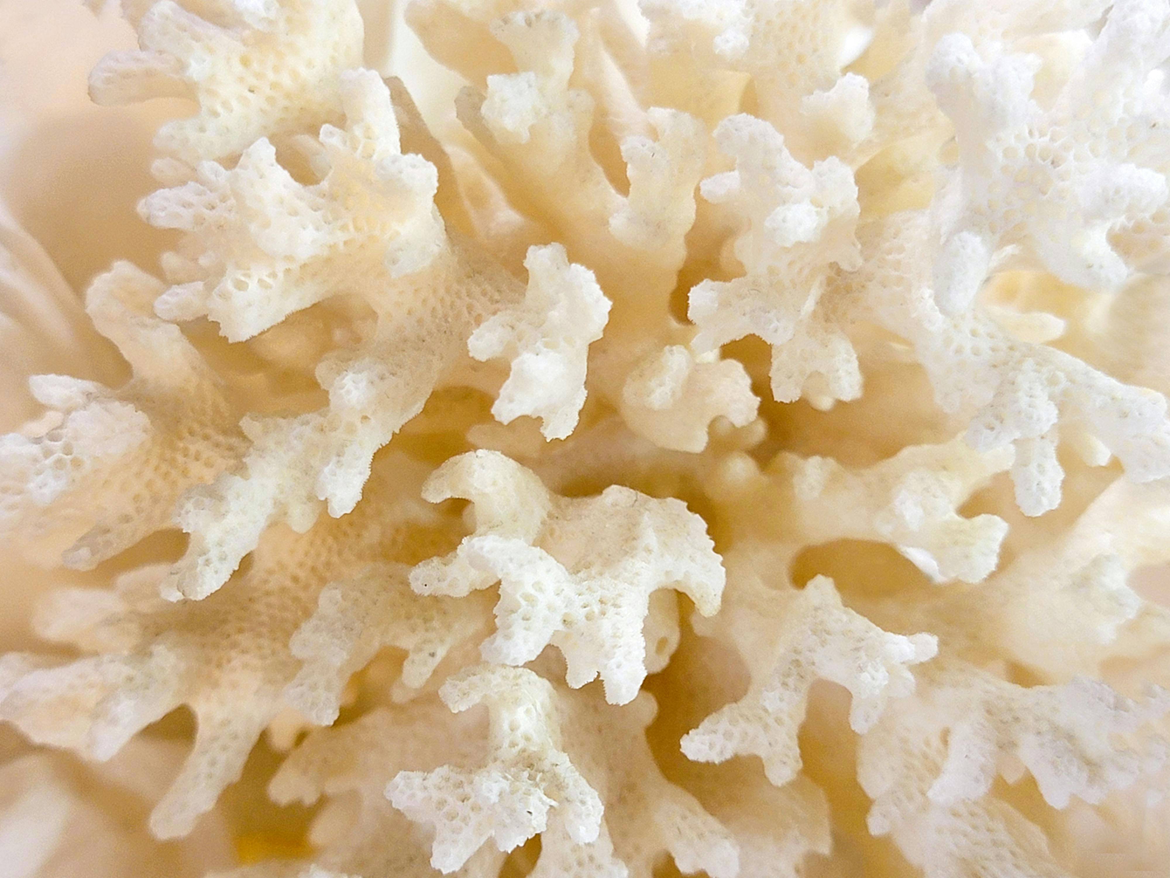 Nautical 18 Photos & Videos Collected by Christopher Moon