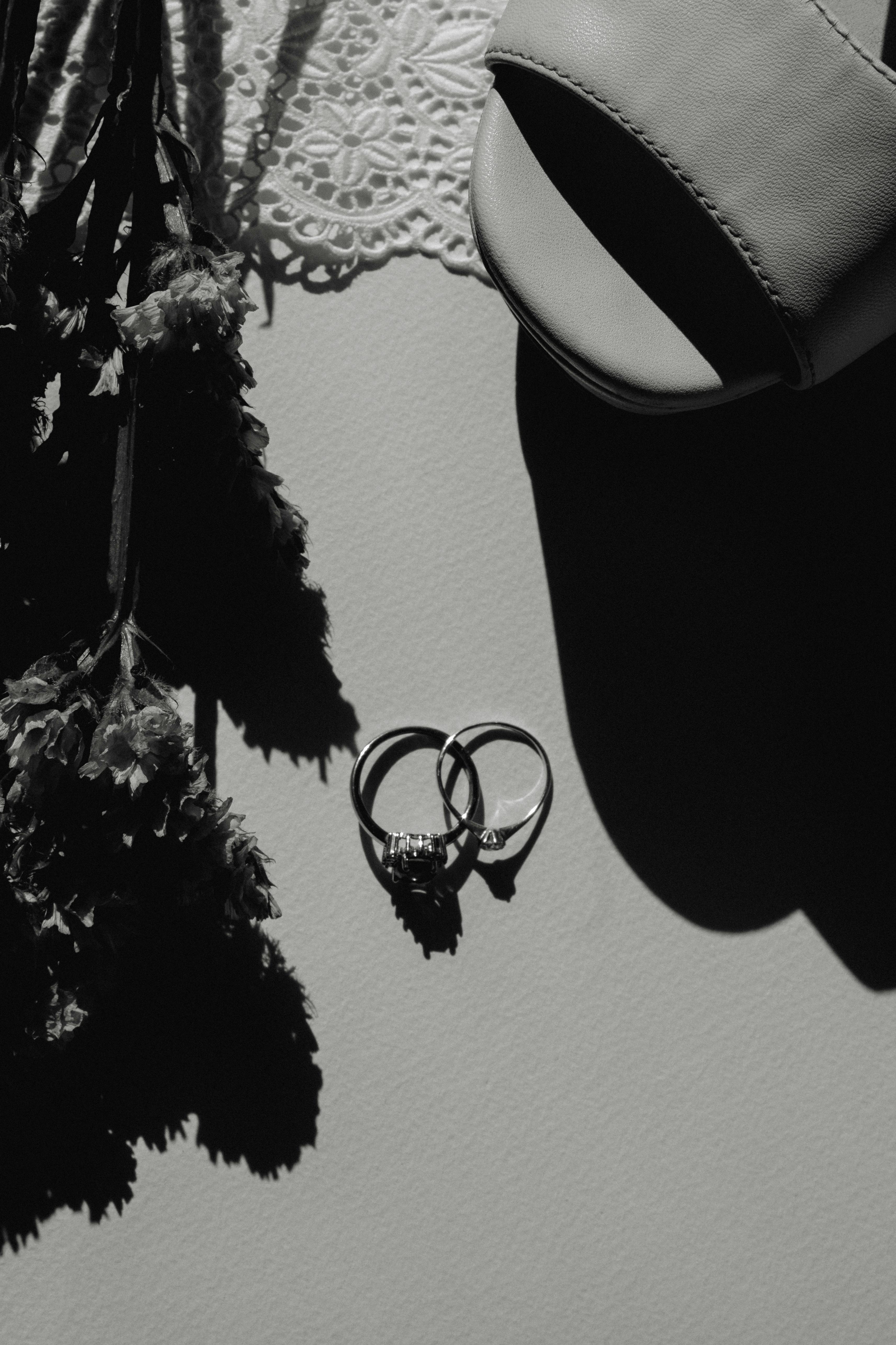 Grayscale Photo of a Lizard on Gray Surface · Free Stock Photo