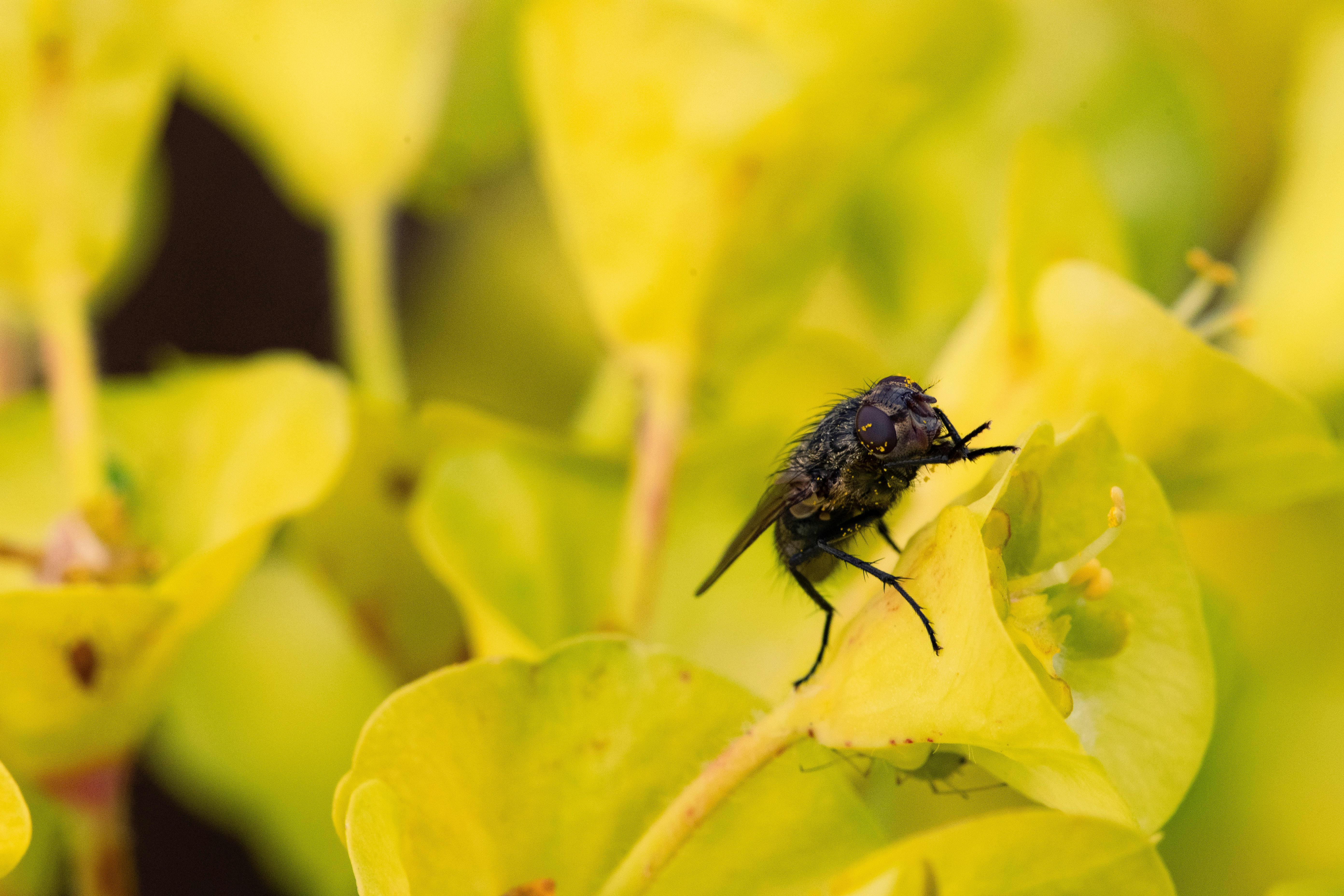 Harrison Baker - Photography