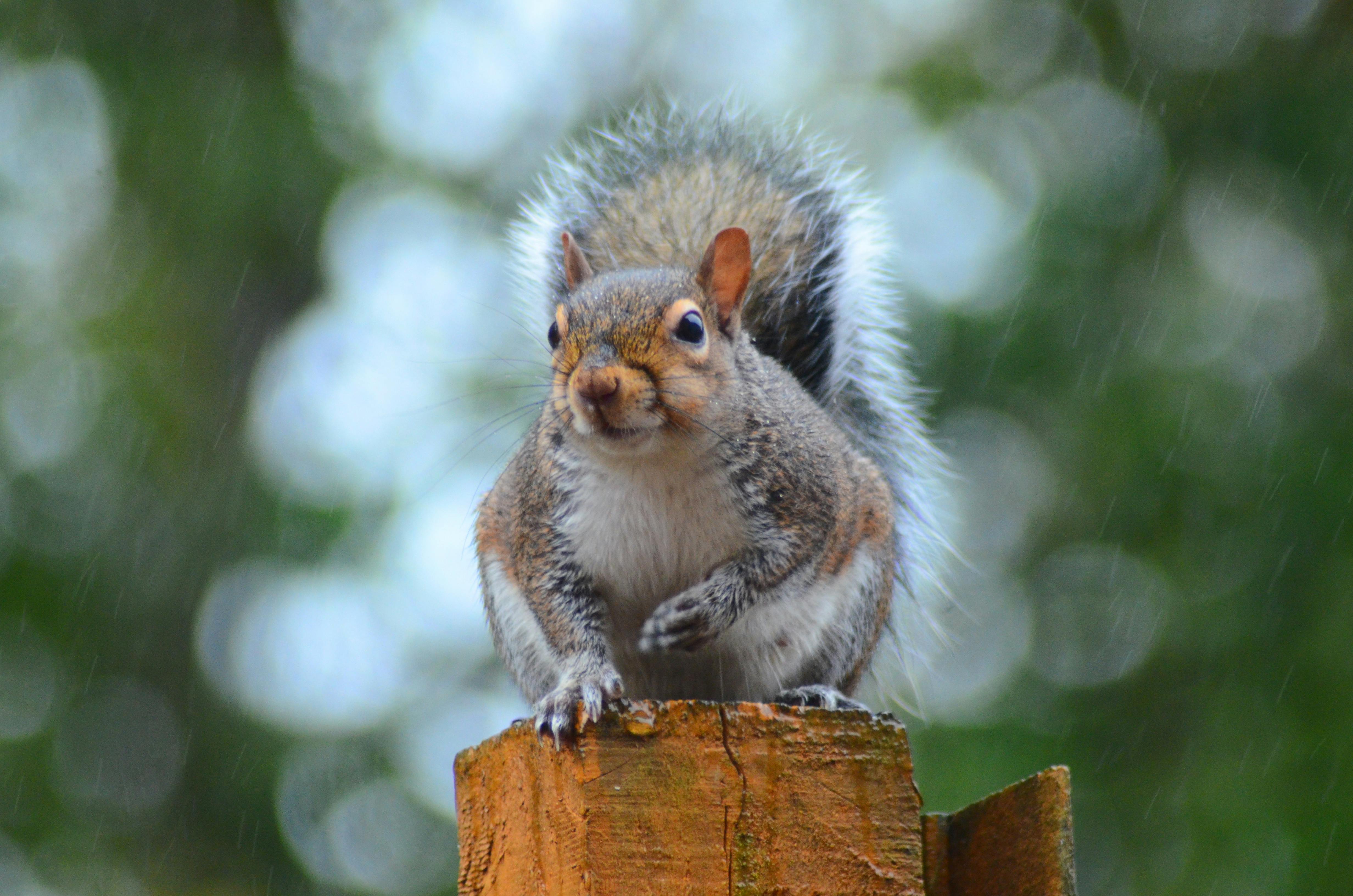Mark Rigby - Fotografía
