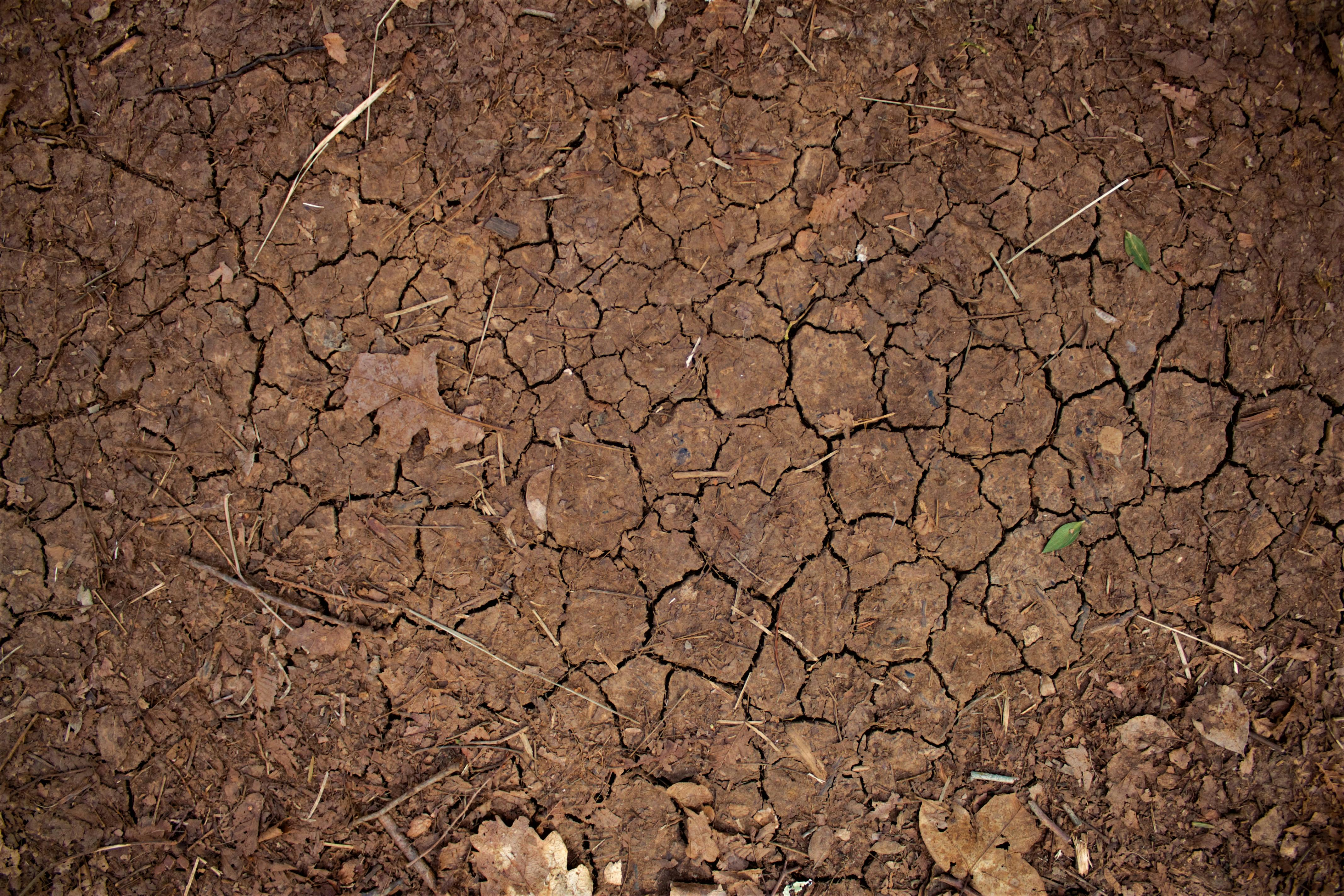Dry Cracked Land · Free Stock Photo