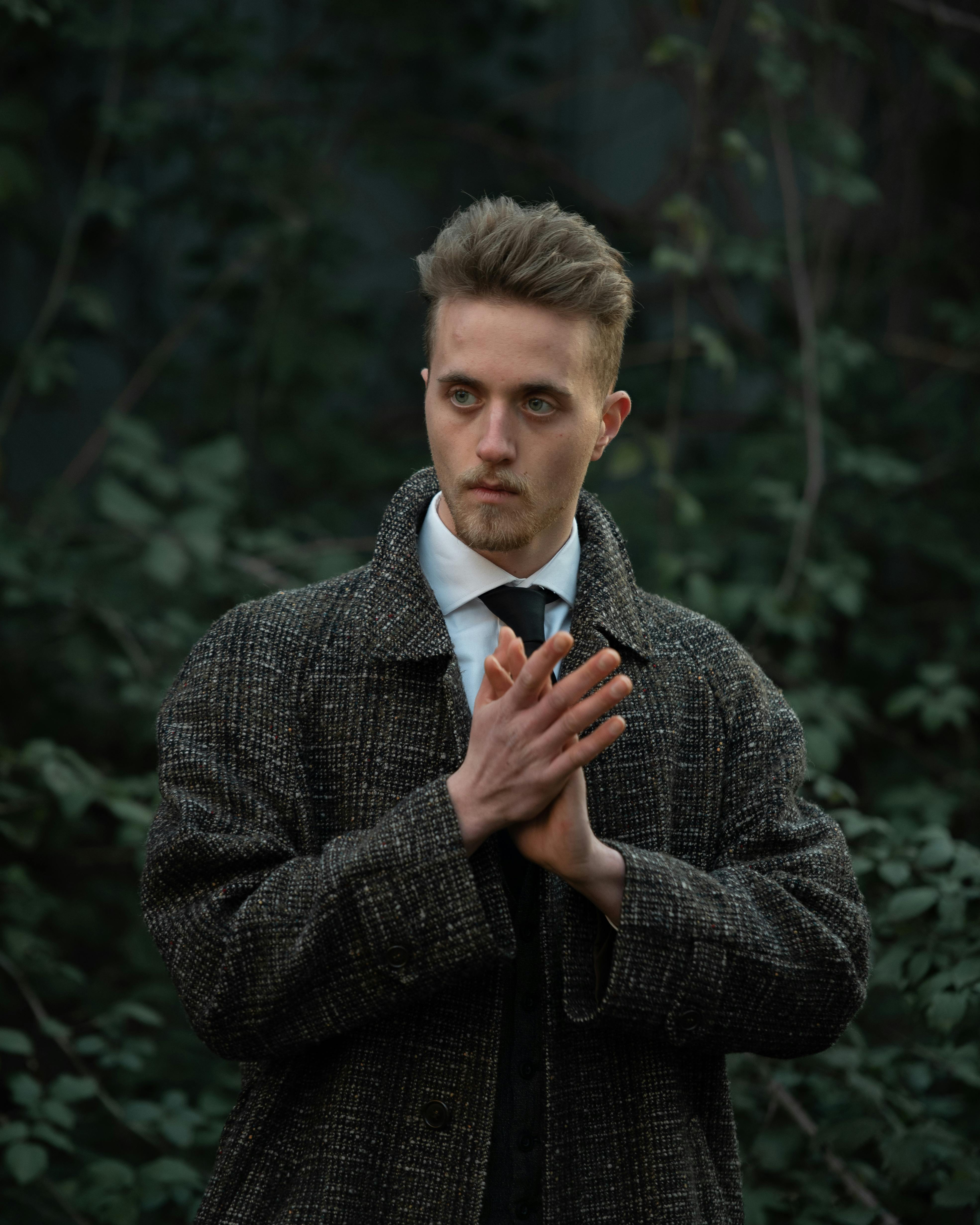 Tree Clapping Hands Photos, Download The BEST Free Tree Clapping Hands ...