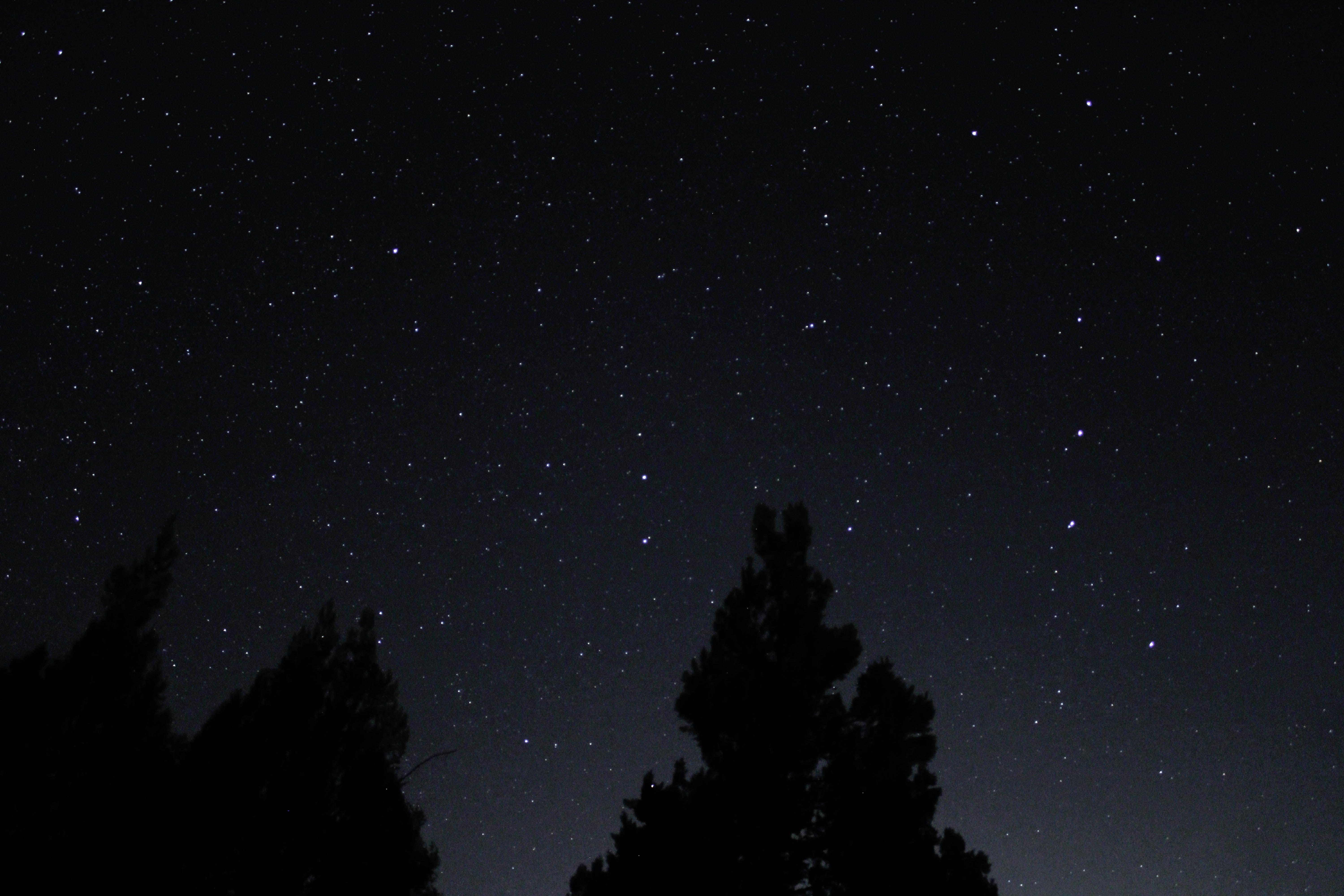 Starry Sky During Night Time · Free Stock Photo