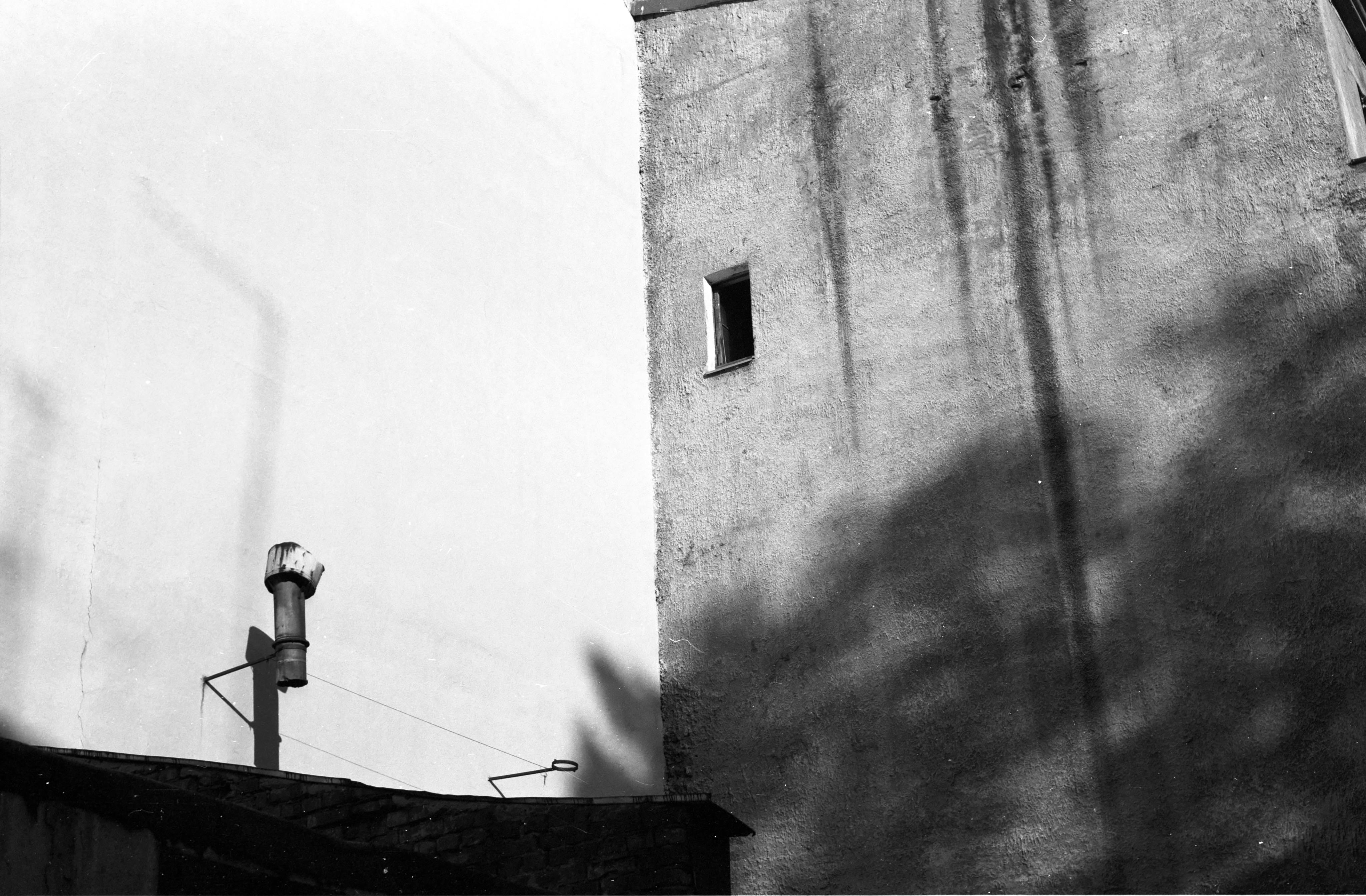 Grey Steel Frame Building Ceiling in Black and White Photograph during ...