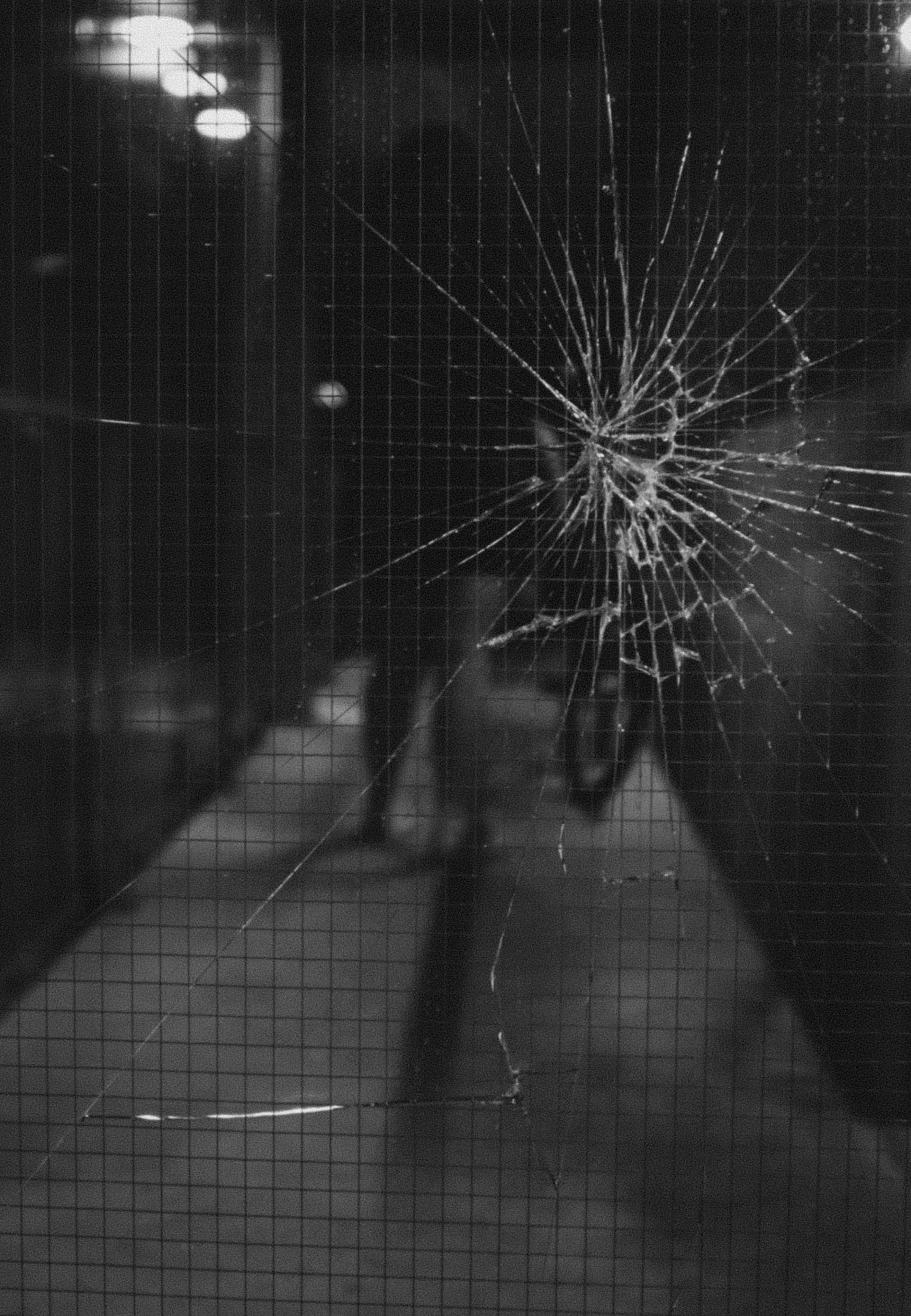 Grayscale of a Spider Web · Free Stock Photo