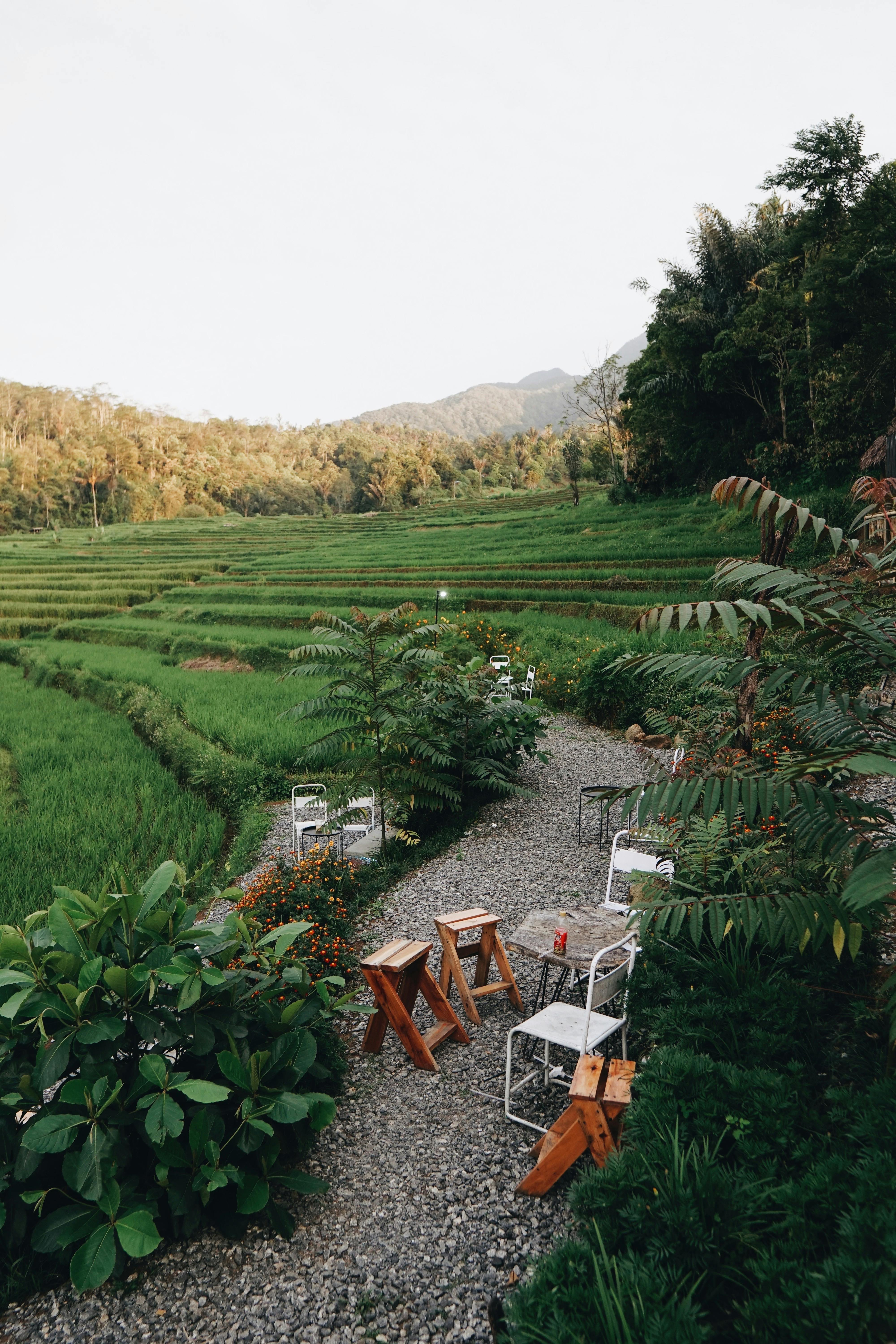 A Café by an Agricultural Land · Free Stock Photo