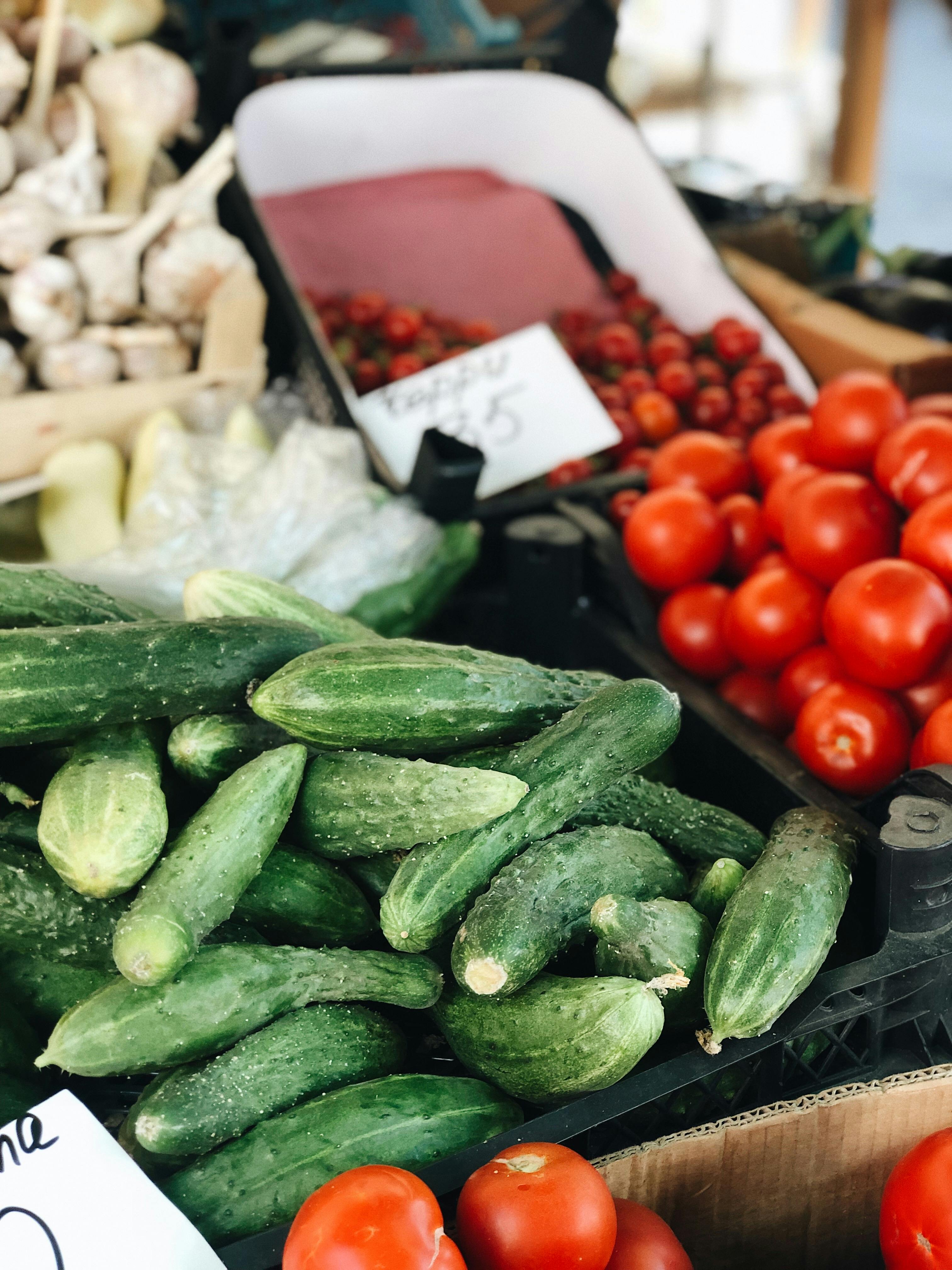 10,000+ Best Influencer Marketing Photos · 100% Free Download · Pexels ...