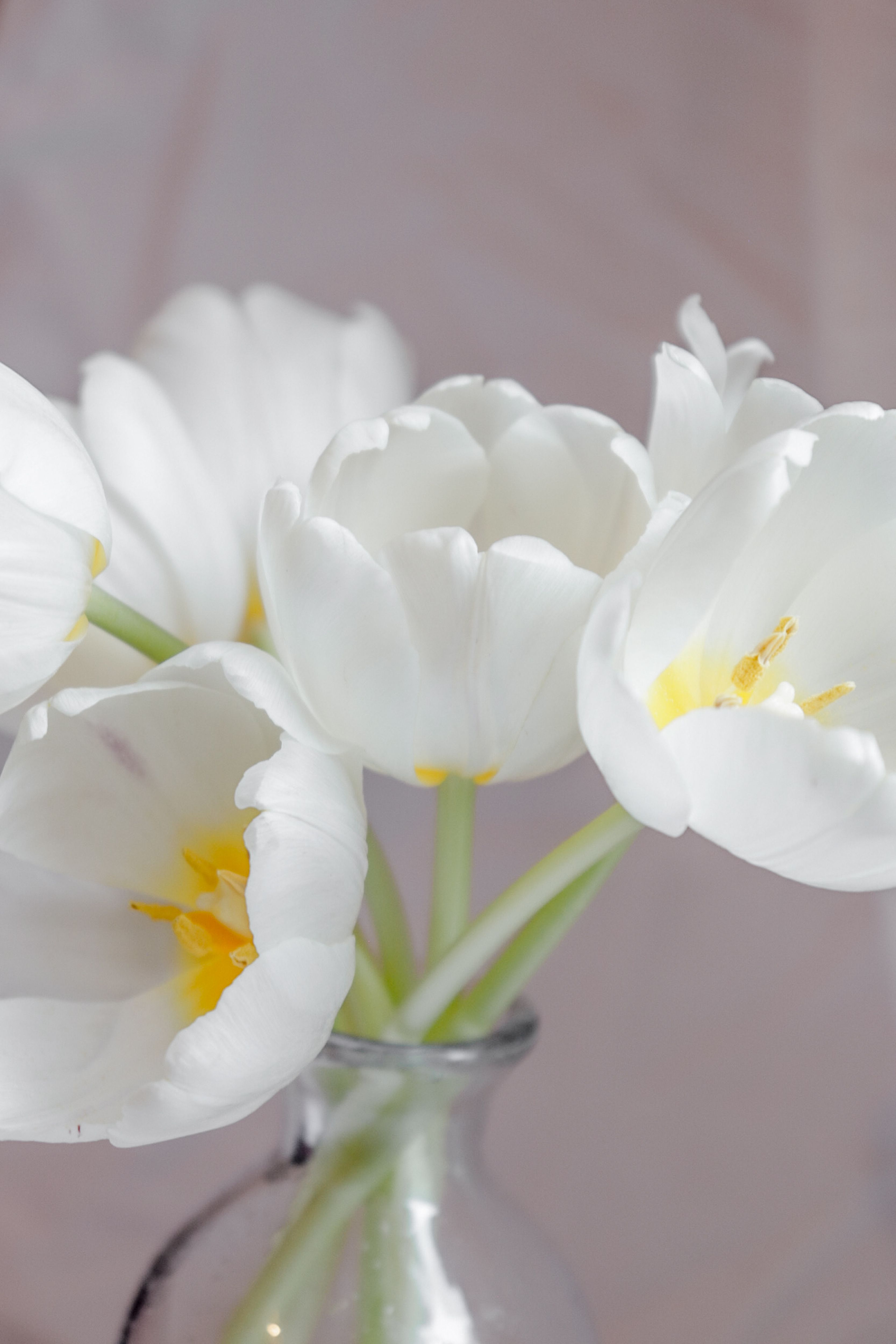 Flowers Behind a Translucent Glass · Free Stock Photo