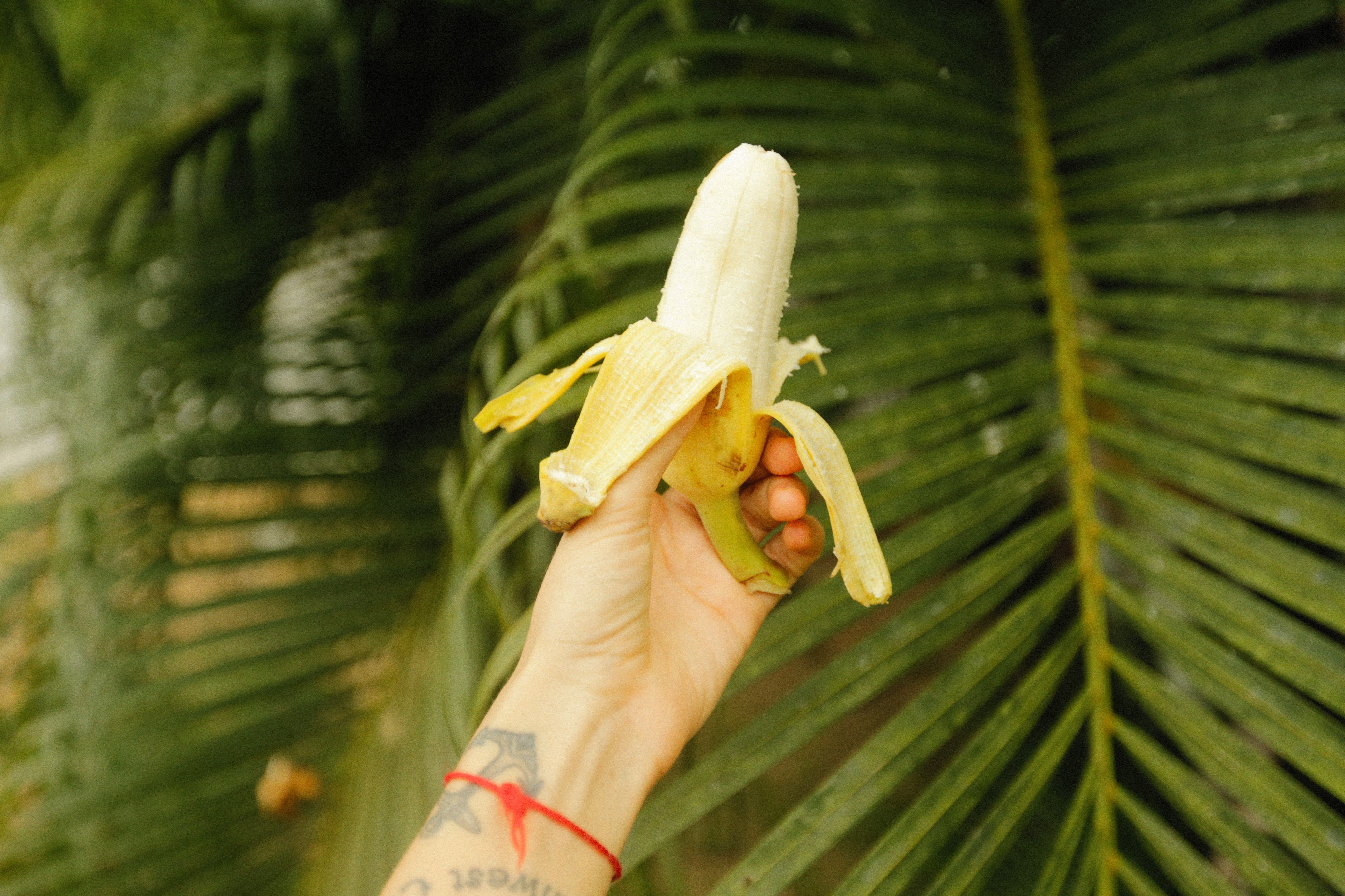 Close Up Photo of a Banana · Free Stock Photo