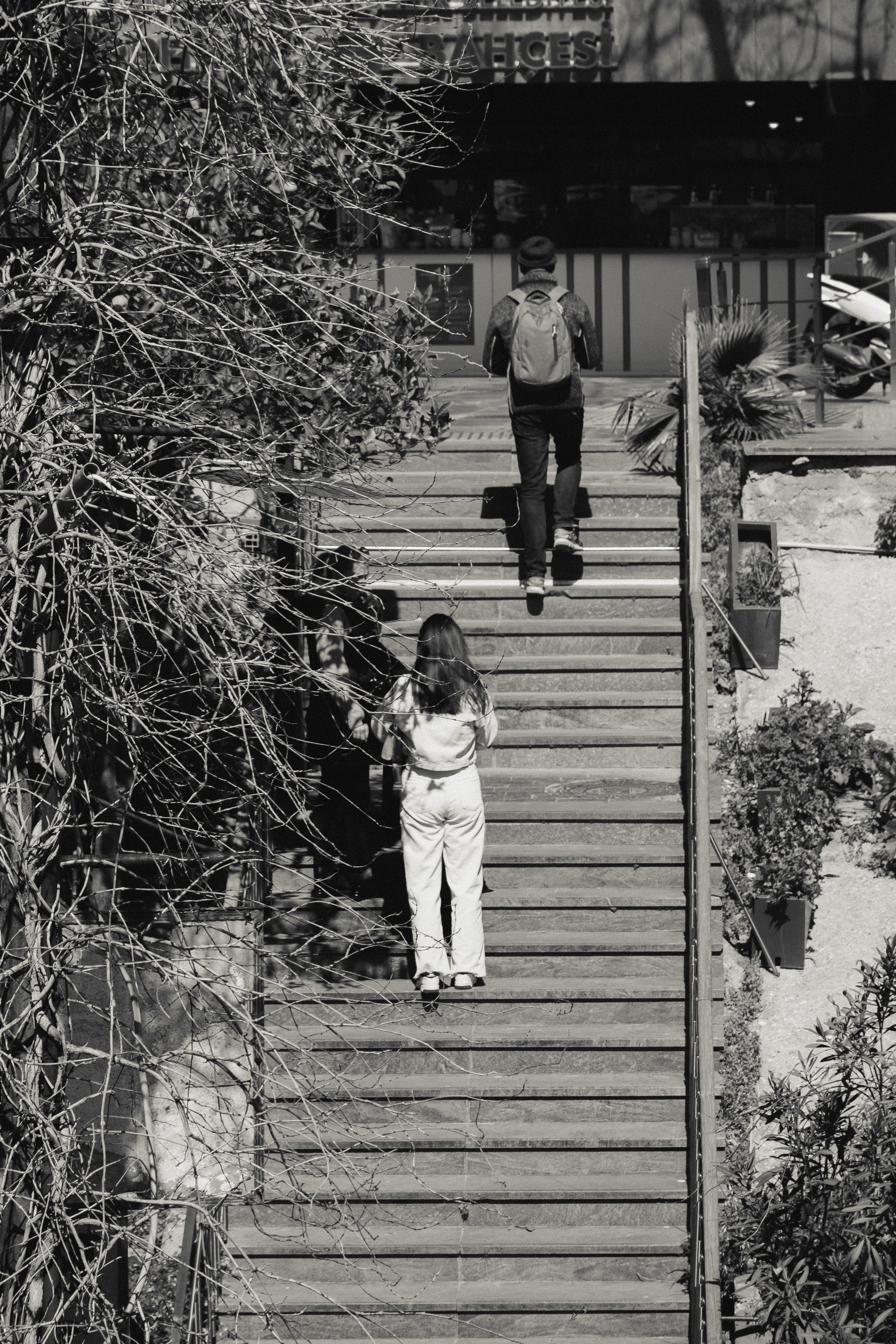 People Walking Up the Stairs · Free Stock Photo