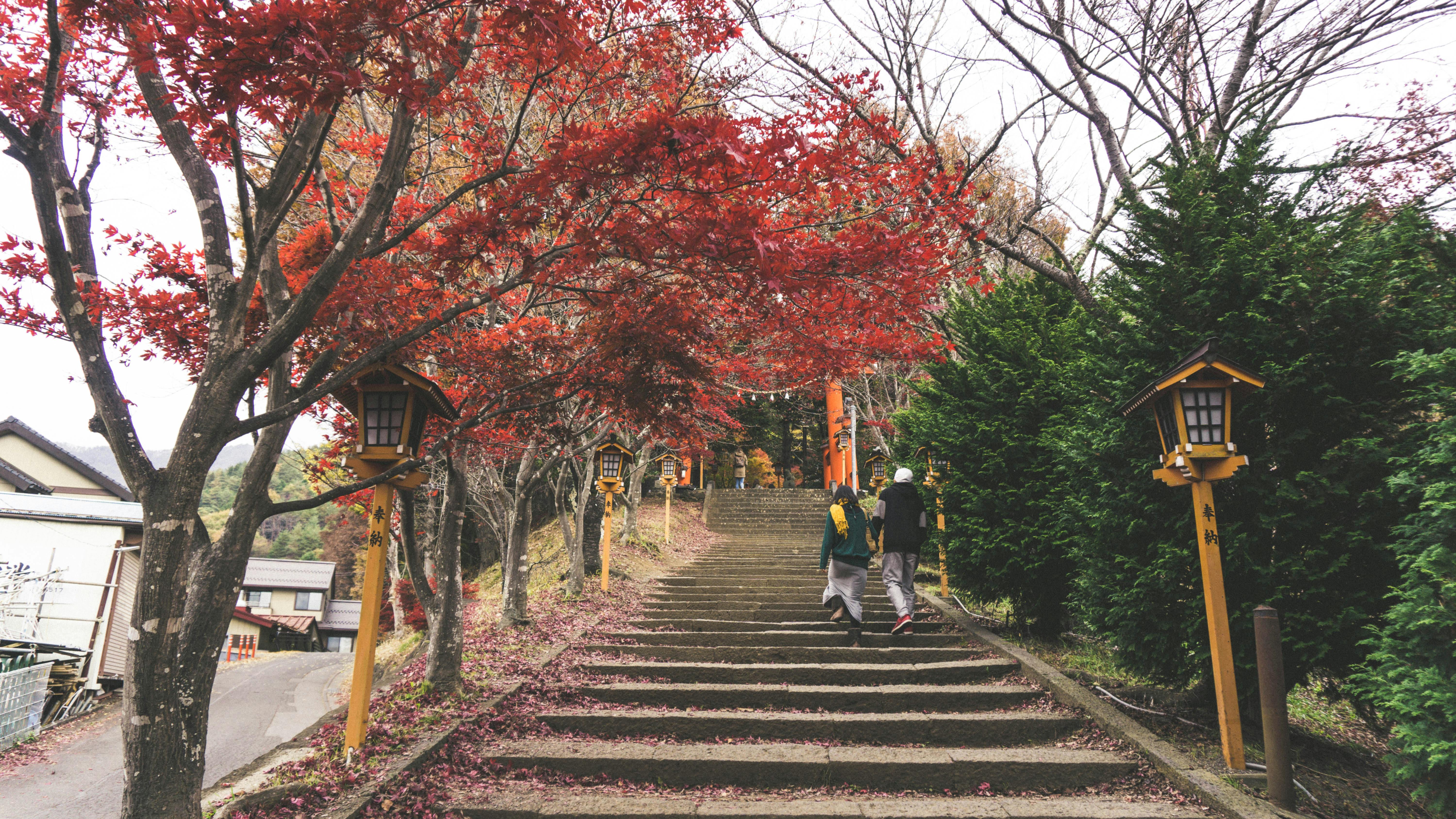 People Walking Up Steps · Free Stock Photo