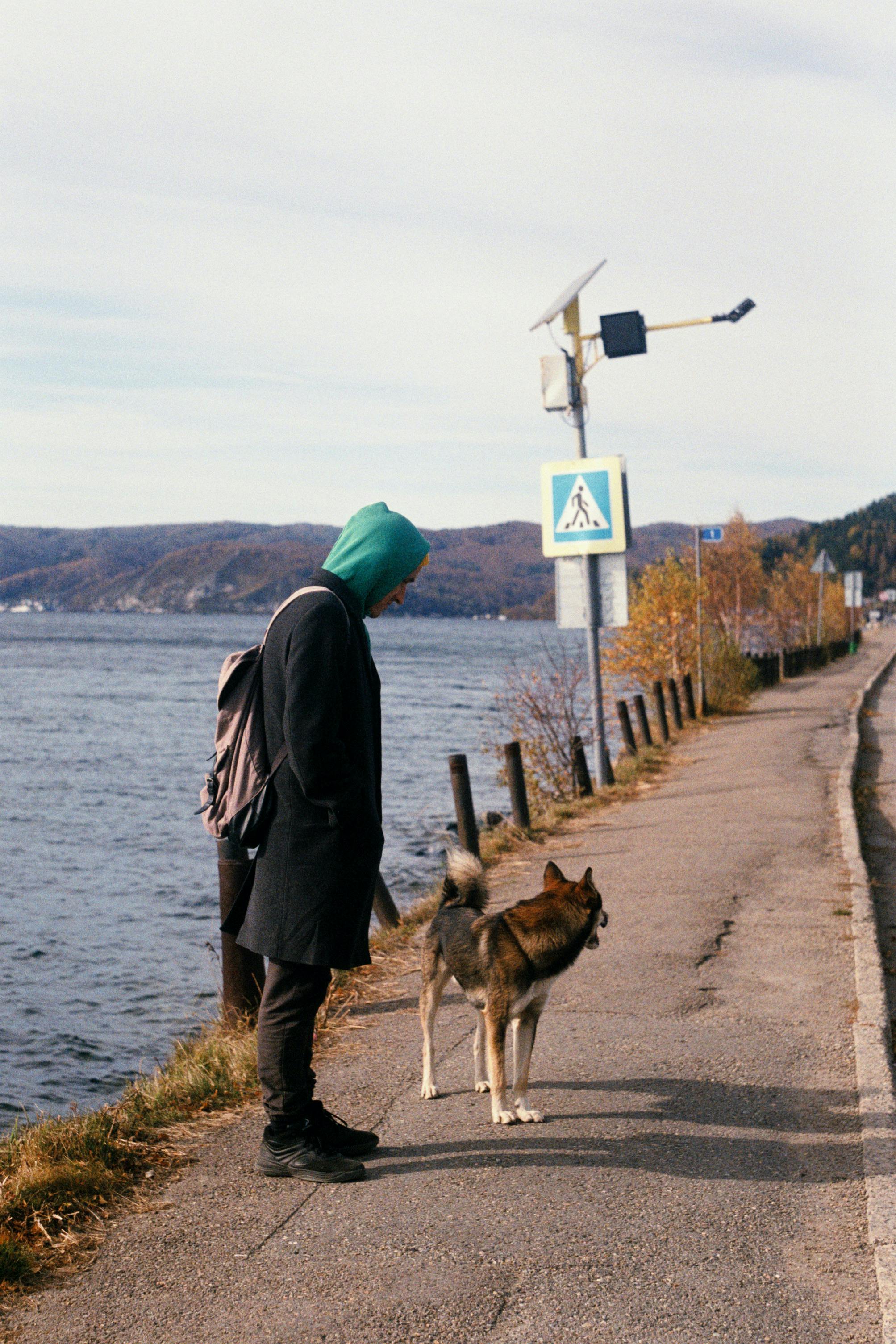 A Man Walking his Two Dogs · Free Stock Photo