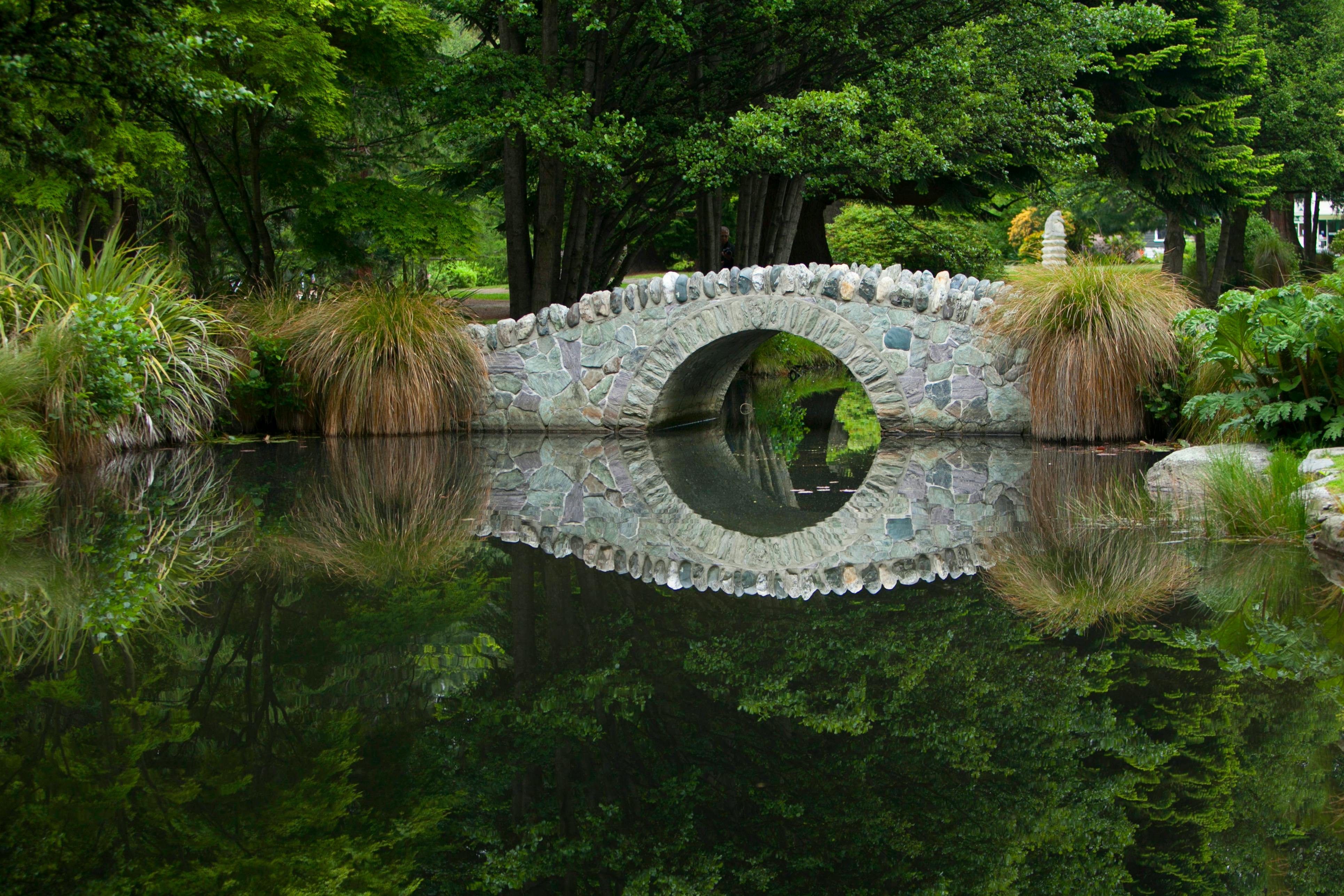 Bridge over a Lake during Day Time · Free Stock Photo