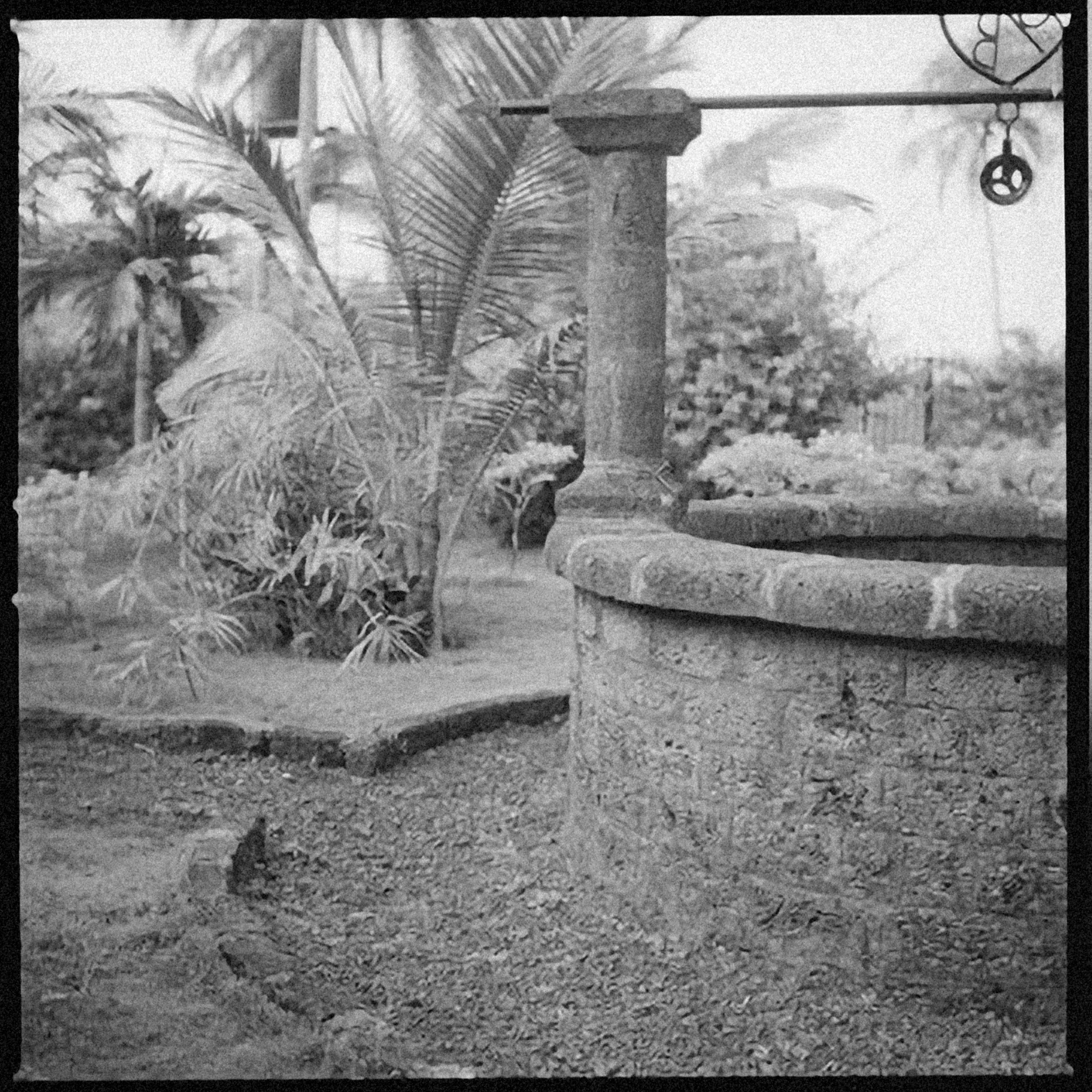 Close-up Photo of a Well and a Plant · Free Stock Photo