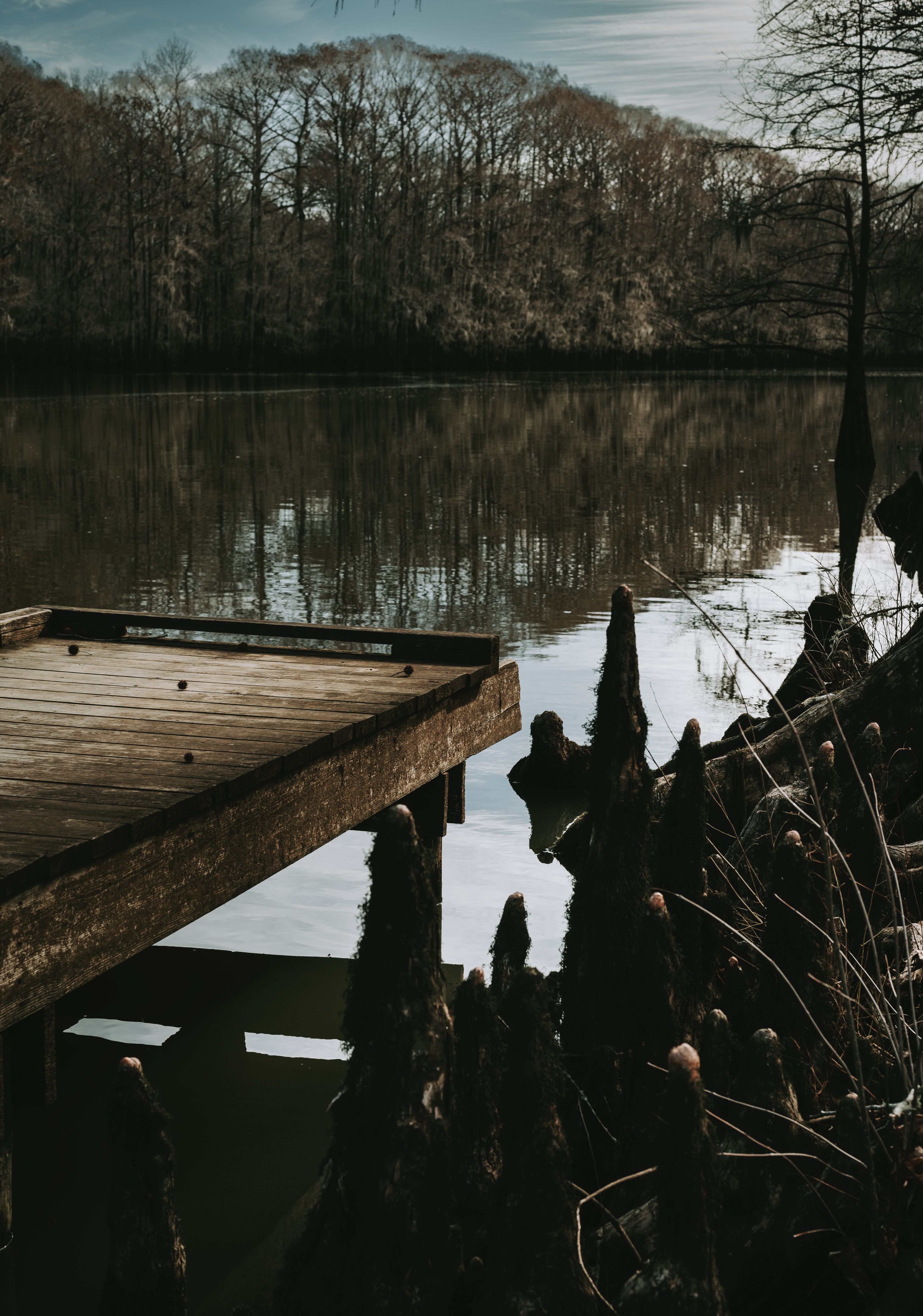 Wooden Viewing Deck Beside the Lake · Free Stock Photo