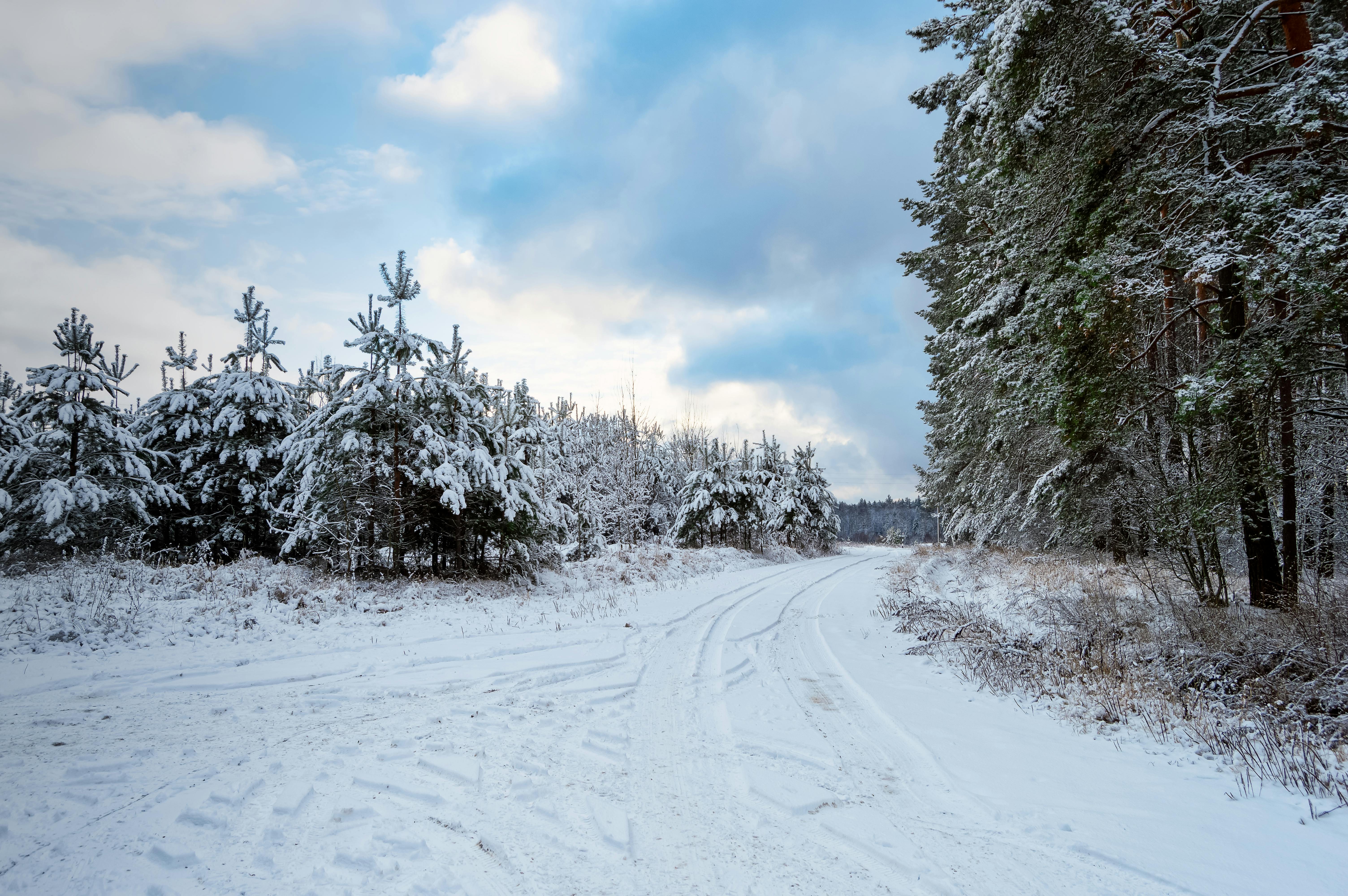 Snow Covered Road On The Mountainside · Free Stock Photo