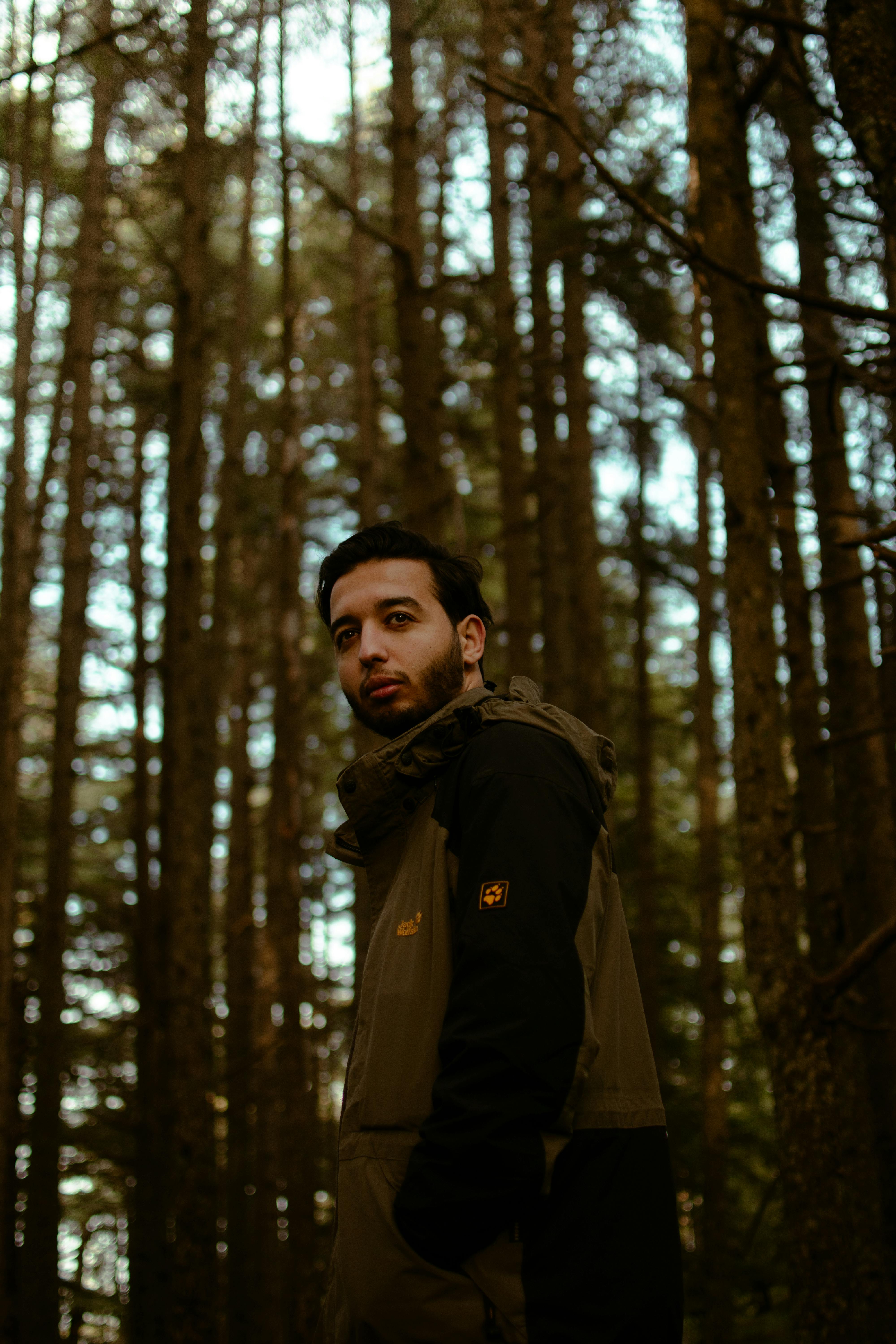A Person Standing under the Green Tree in the Forest · Free Stock Photo