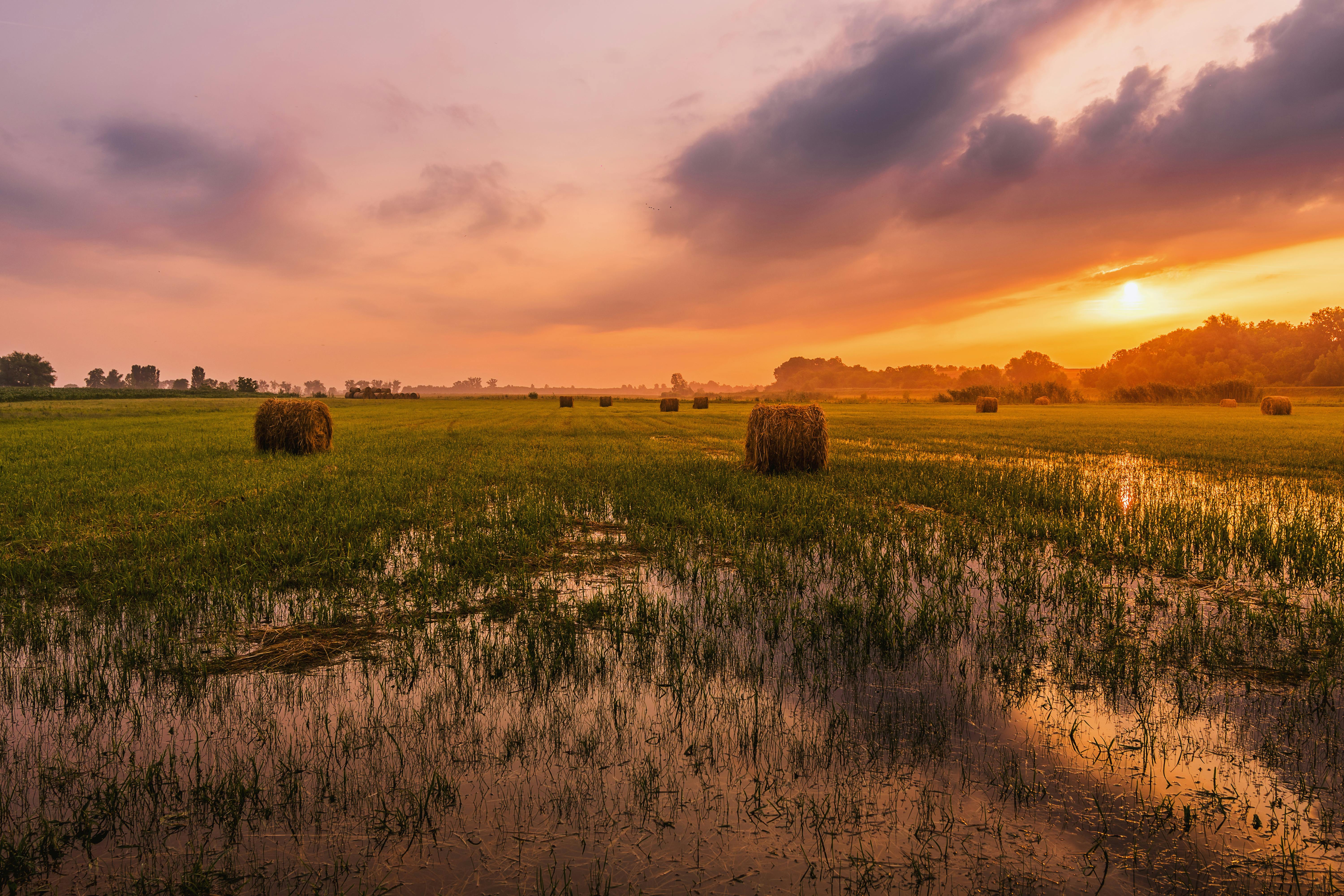Landscape Photography Of Green Grass Field During Golden Hour · Free ...