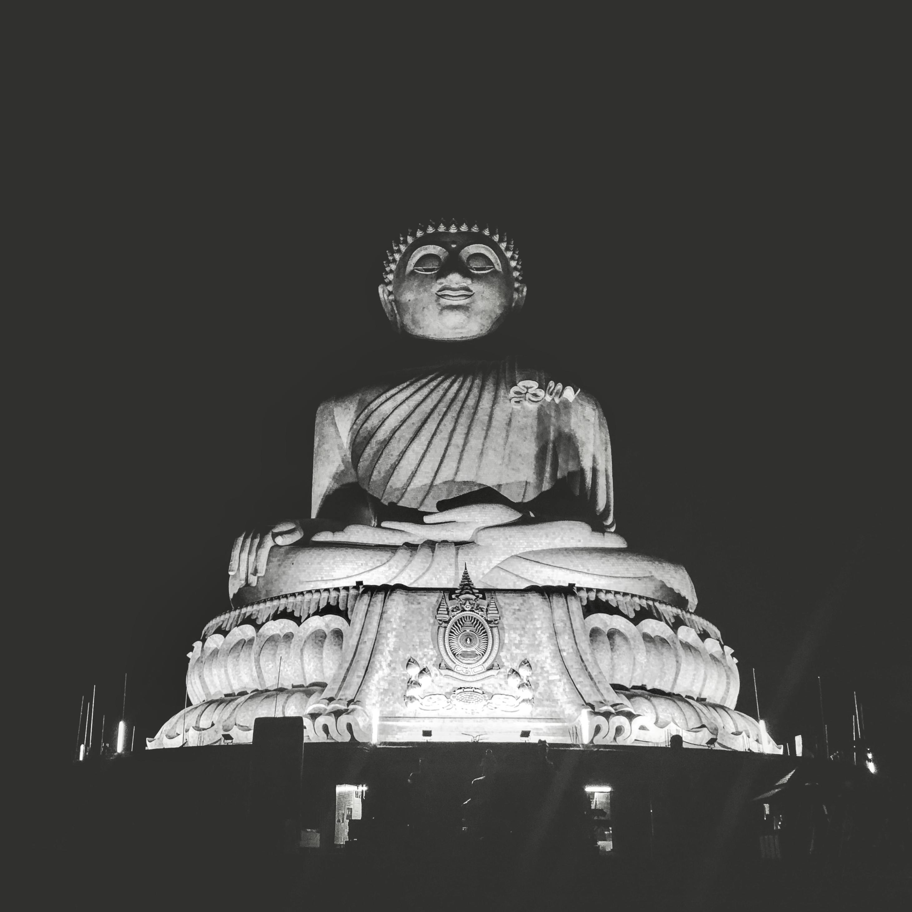 Minge Photos, Download The BEST Free Minge Stock Photos & HD Images