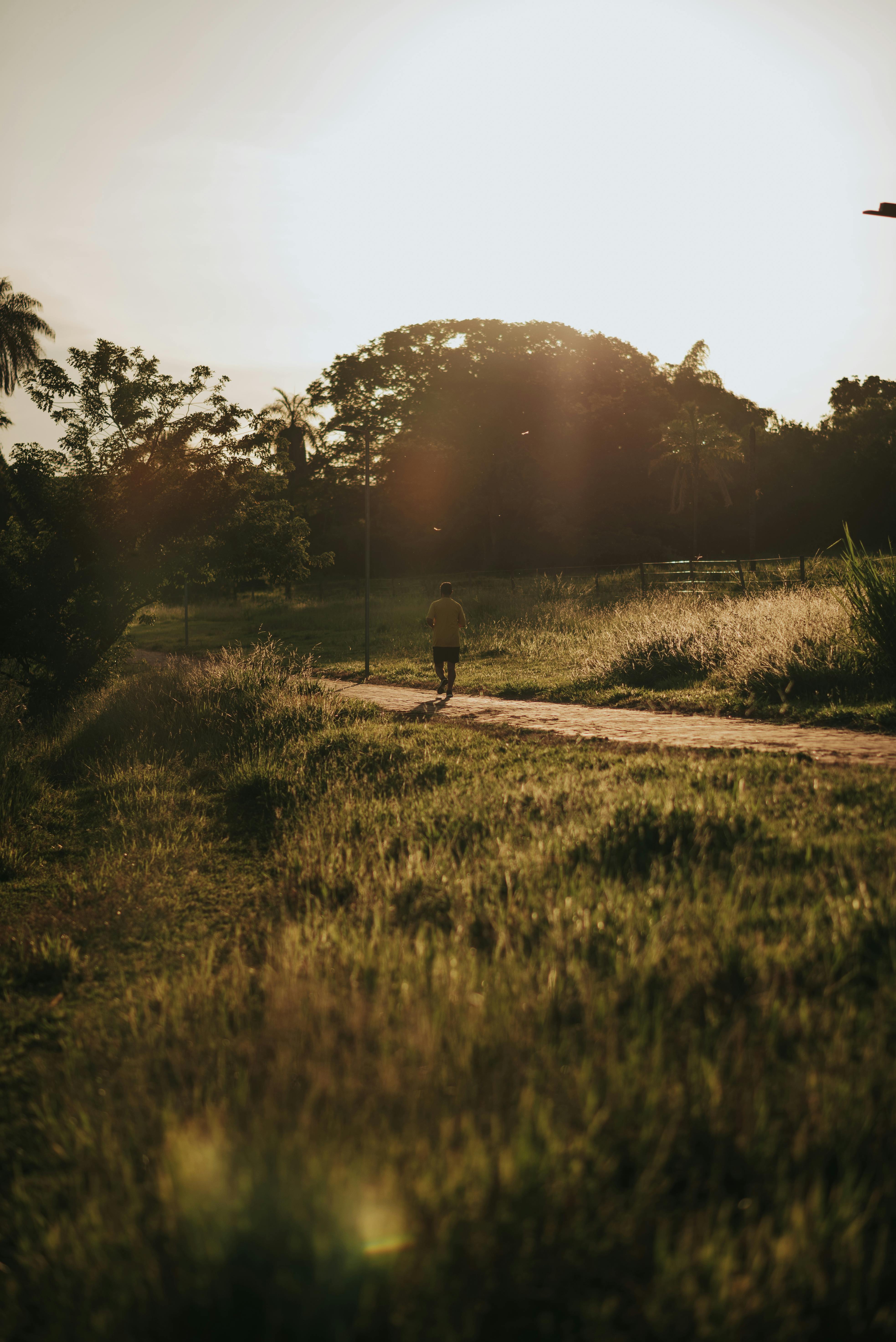 Back view of People Running on the road · Free Stock Photo