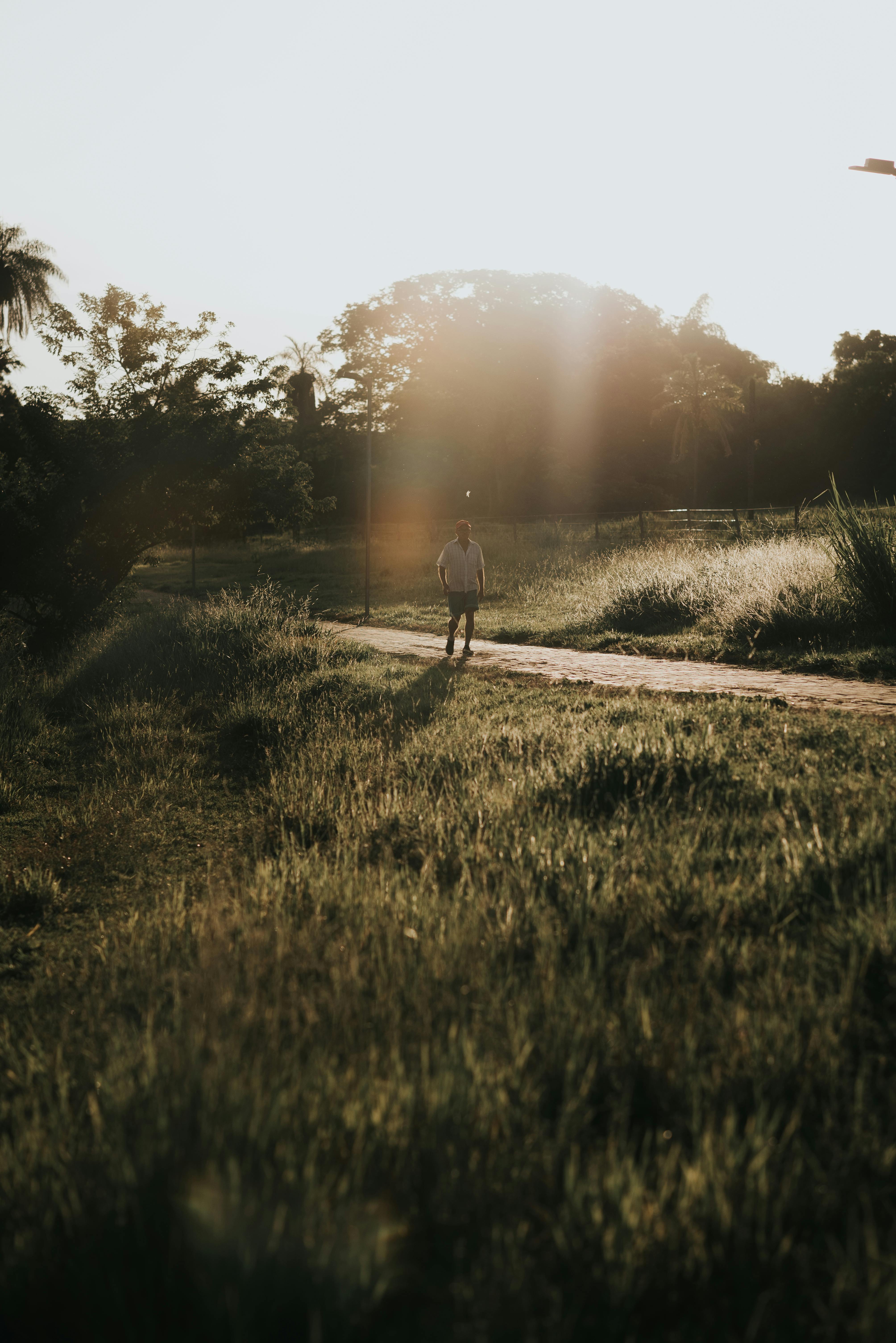 Person Walking on Path · Free Stock Photo