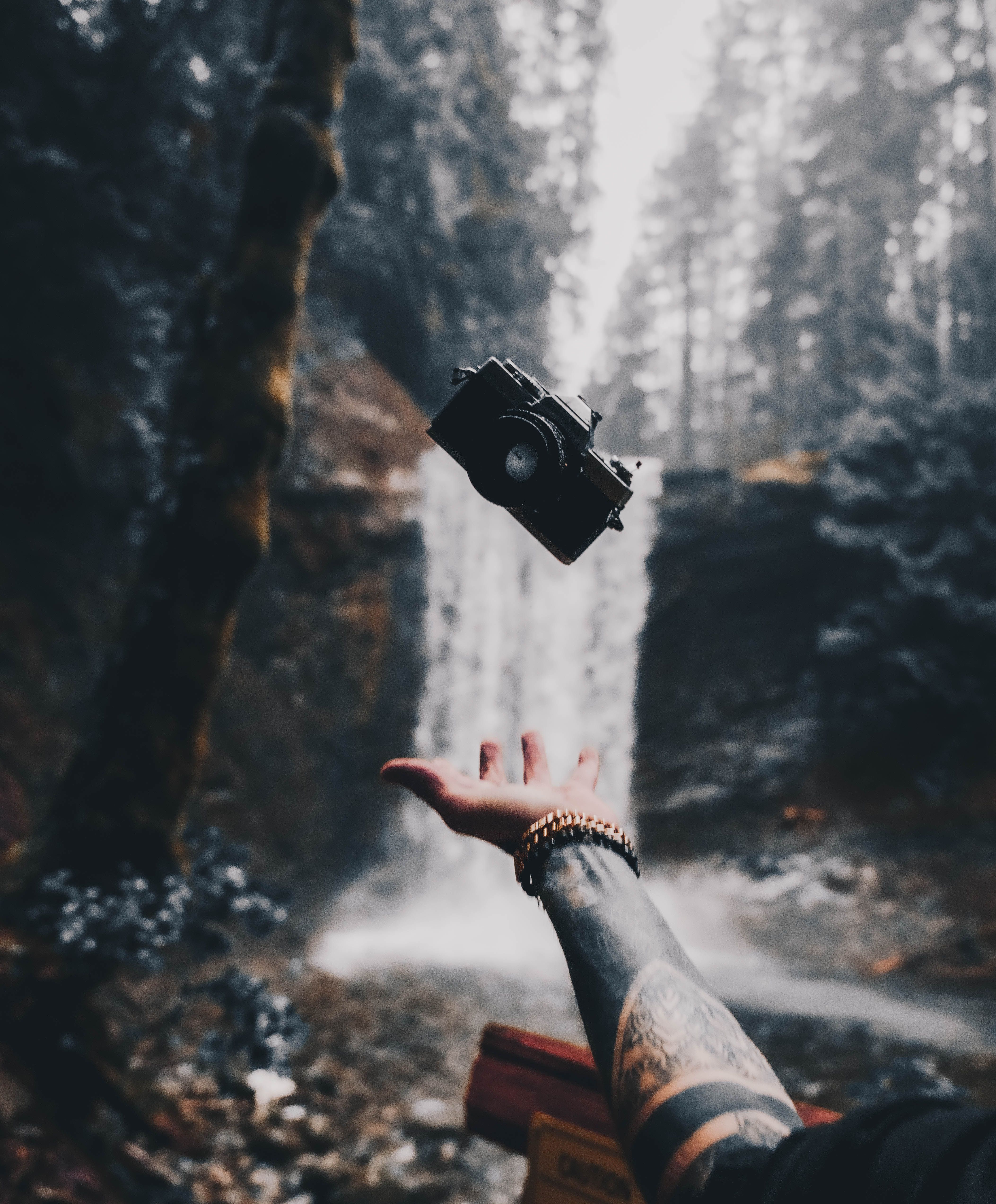 Person Throwing a Camera · Free Stock Photo