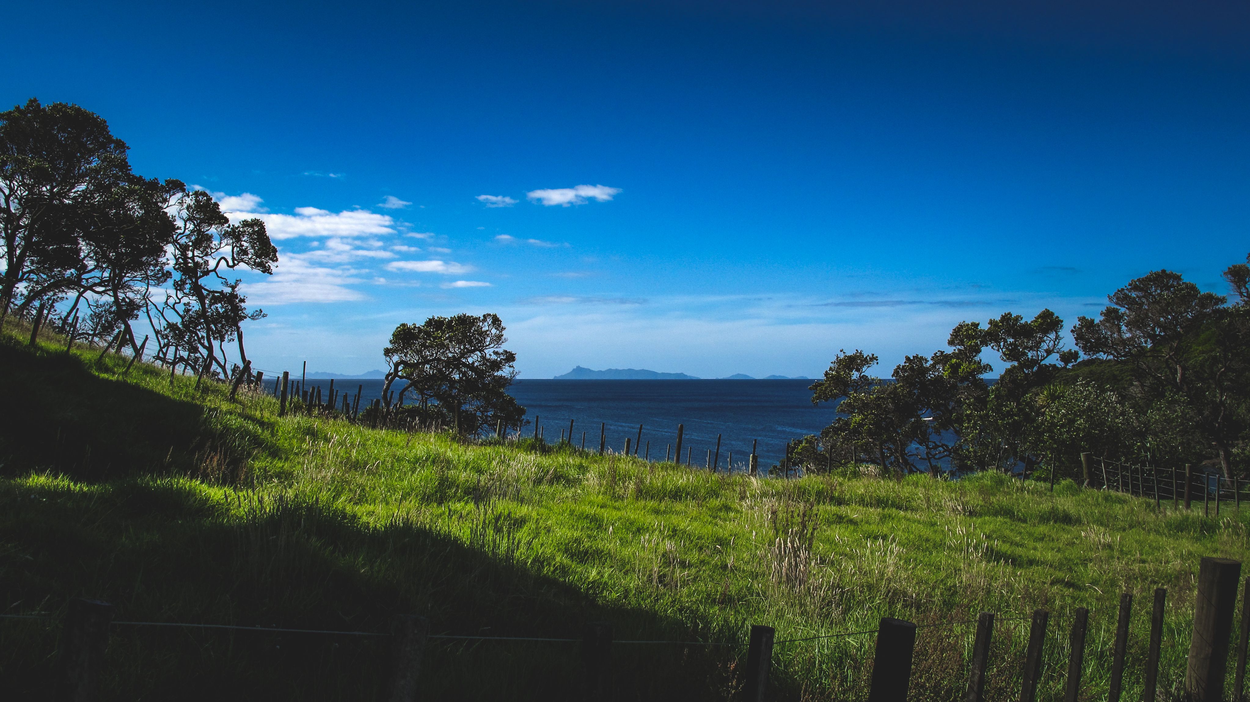 Fence around a Grass Field · Free Stock Photo