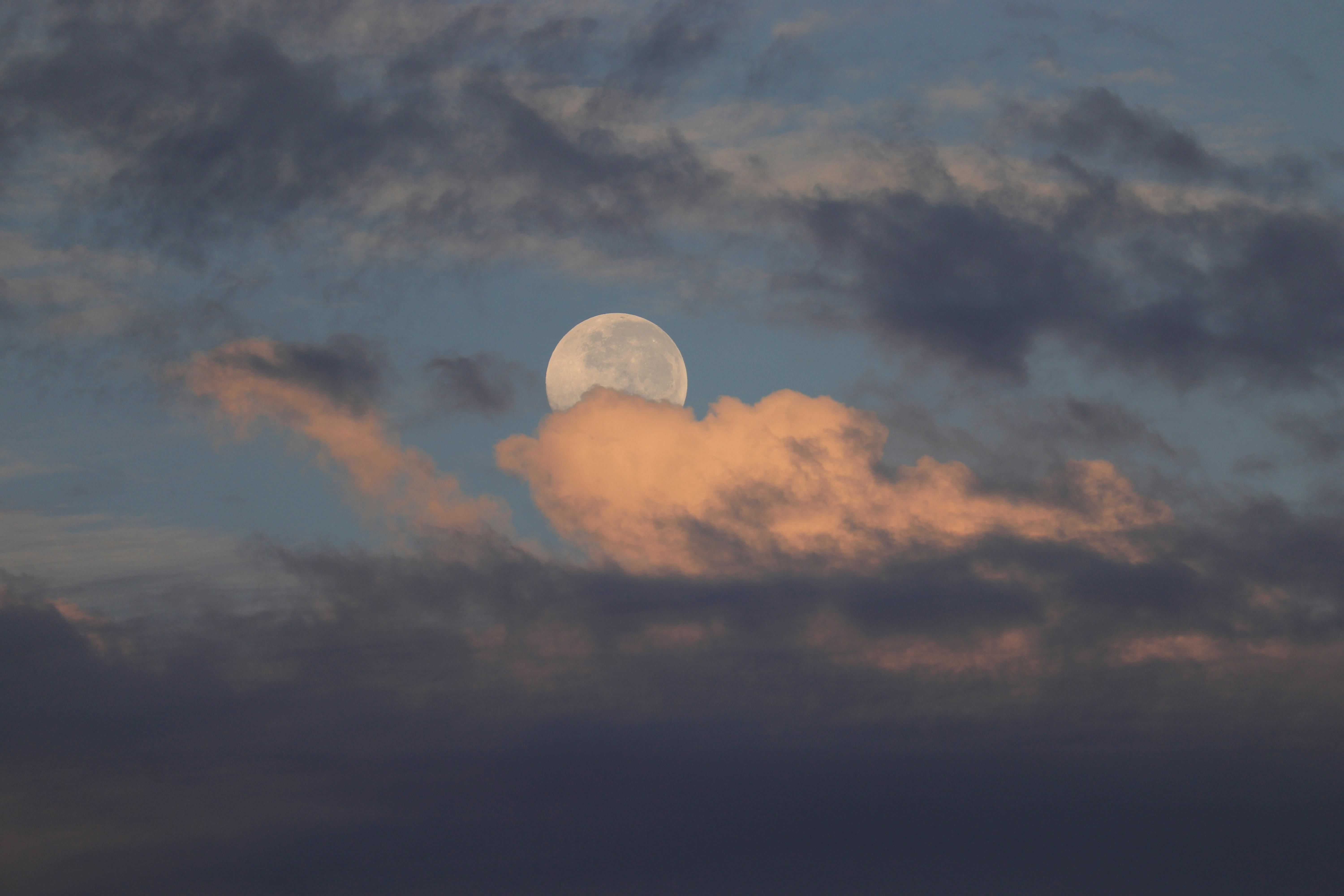 Moon · Free Stock Photo