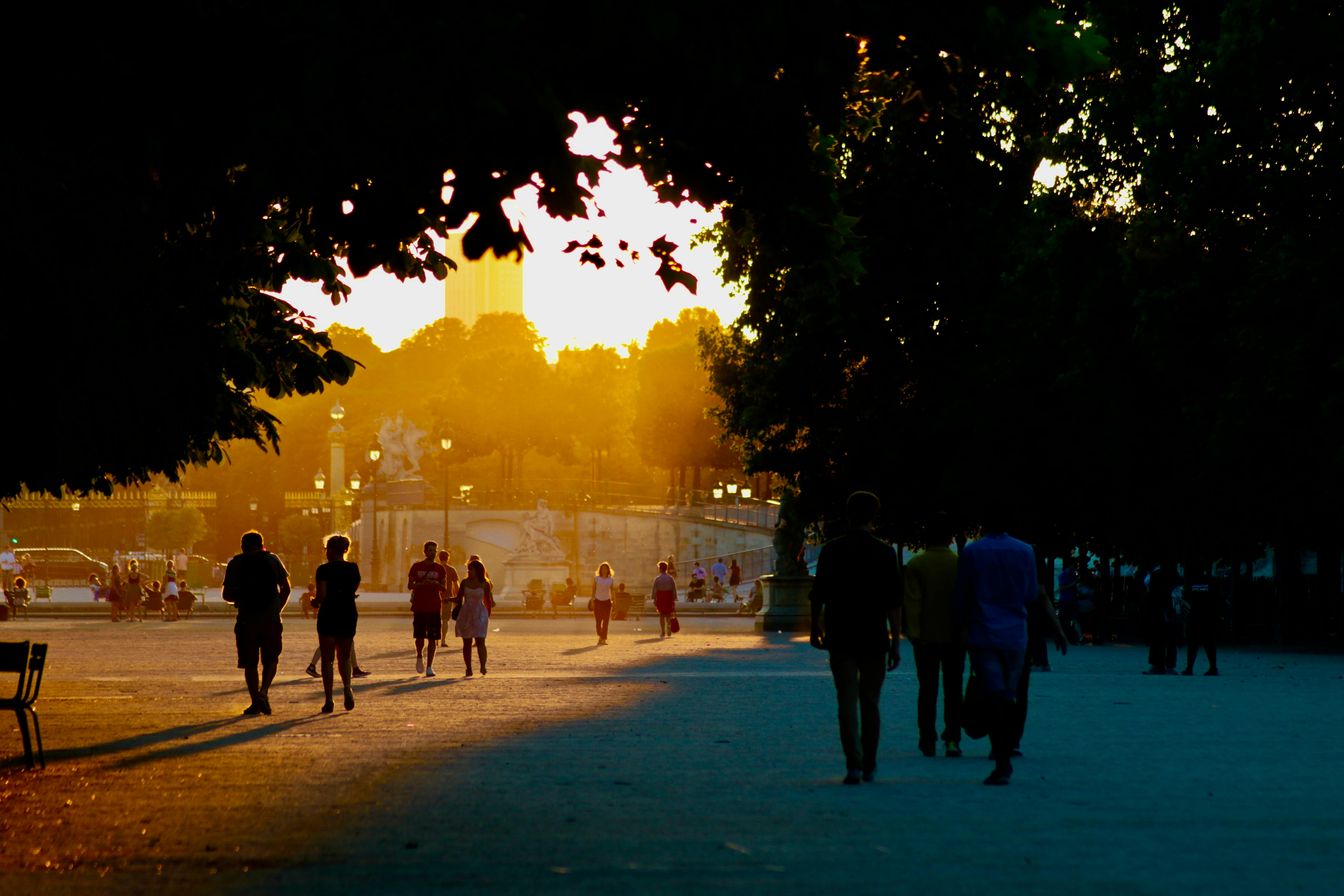People Walking at the Park during Sunset · Free Stock Photo
