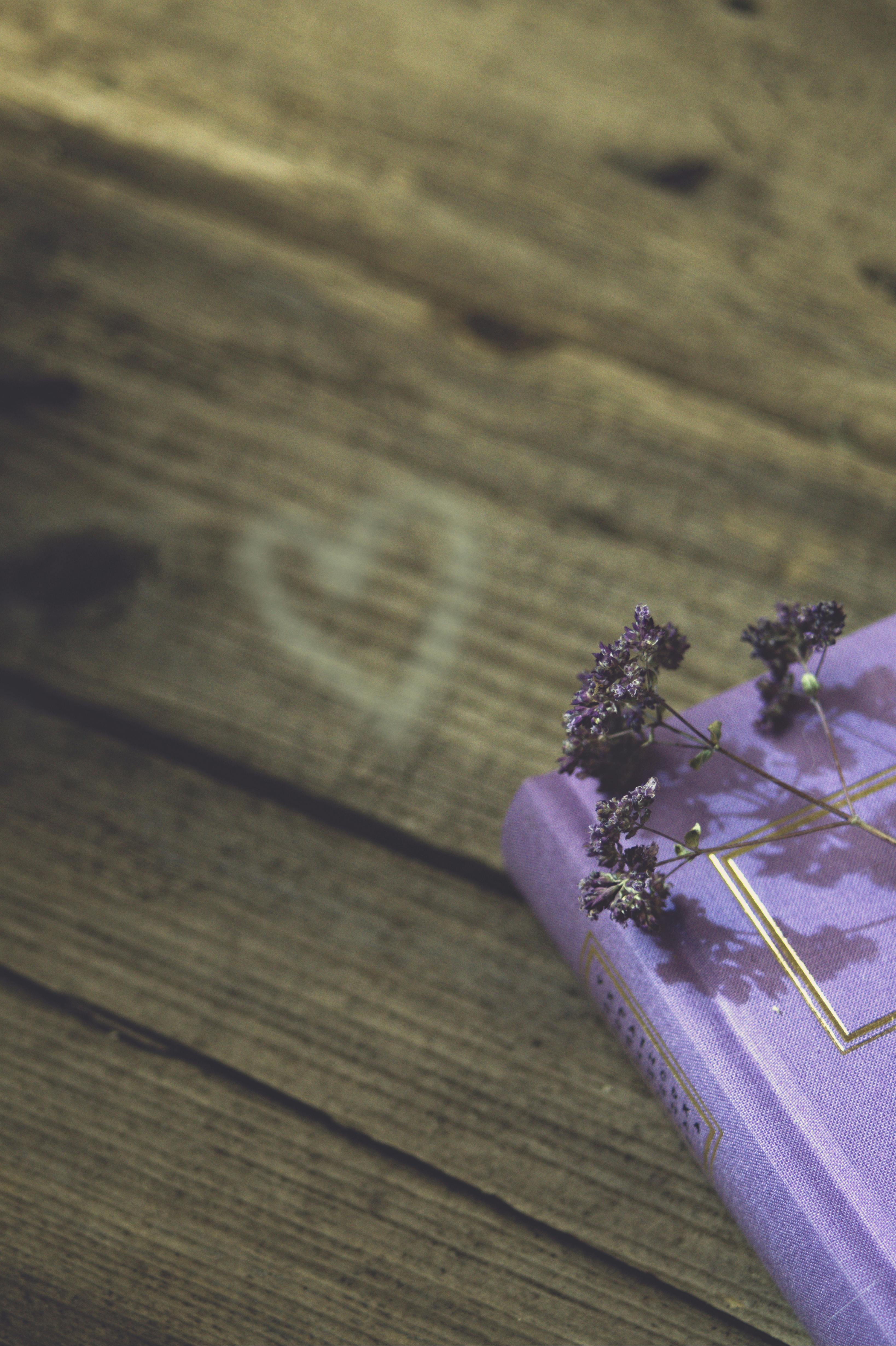 Close-Up Photograph of Purple Flowers on a Book · Free Stock Photo