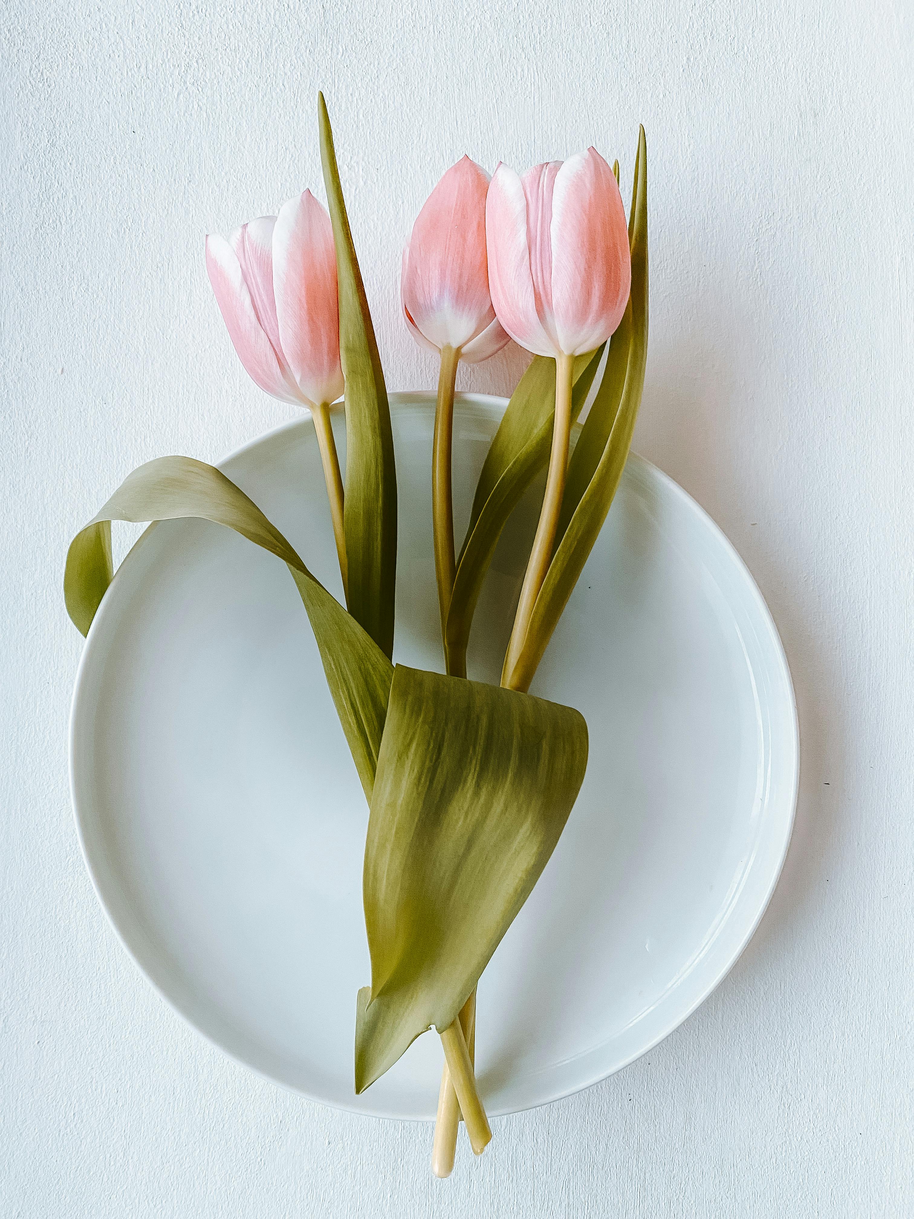 100,000+ Best Natural Disaster Photos · 100% Free Download · Pexels ...