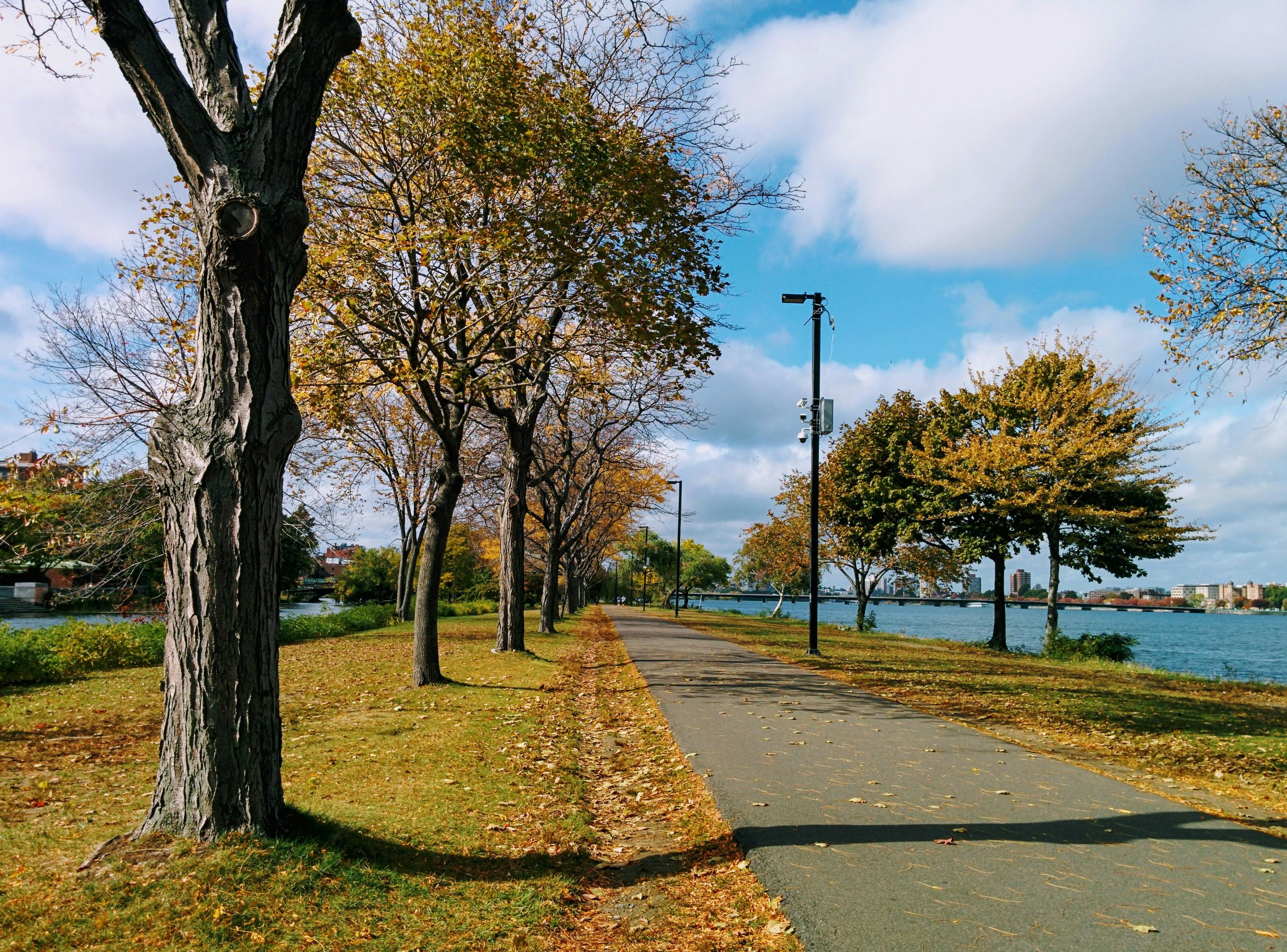 Side Road in Autumn · Free Stock Photo