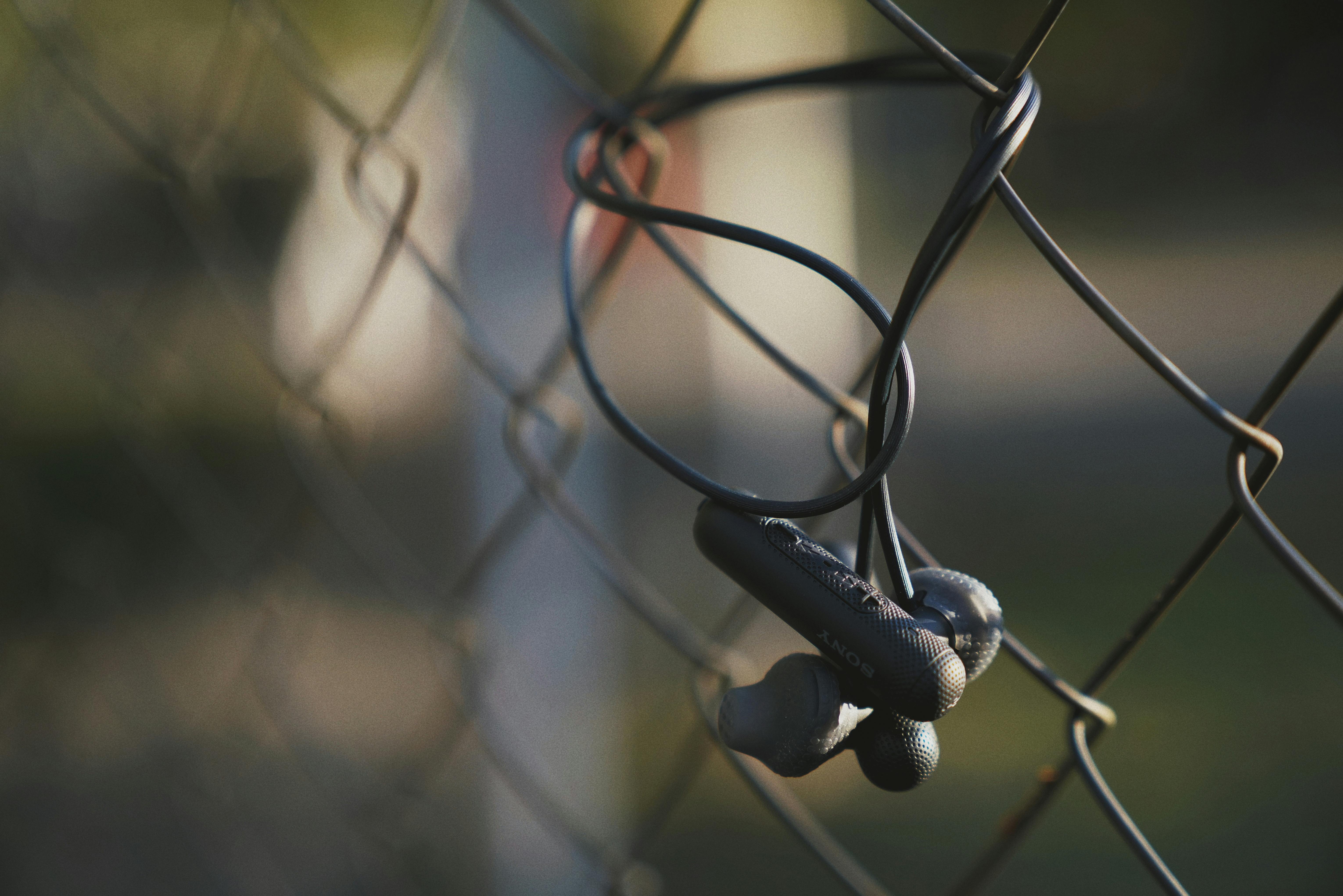 Ear Buds Photos, Download The BEST Free Ear Buds Stock Photos & HD Images