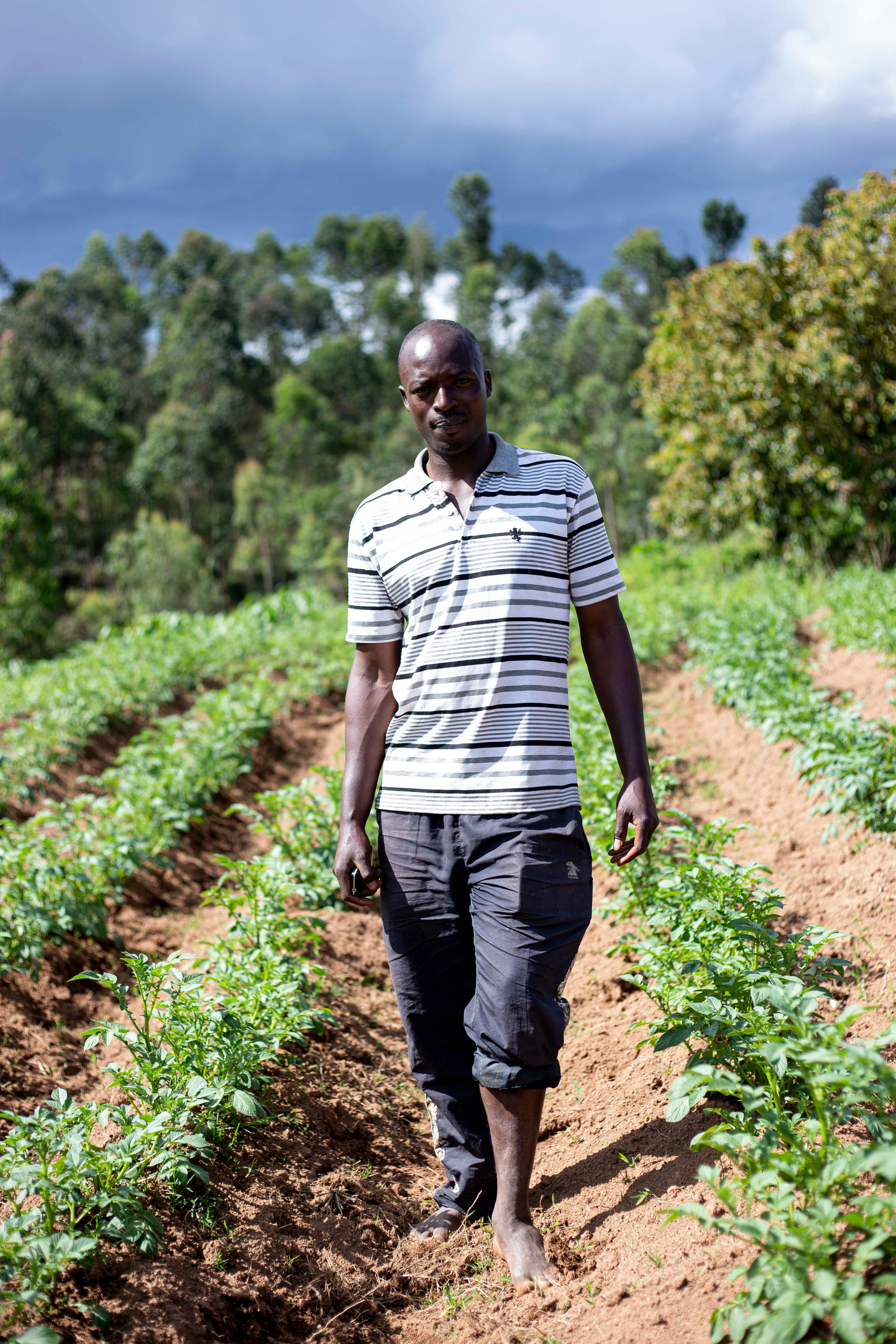 Man Standing on the Corn Field · Free Stock Photo