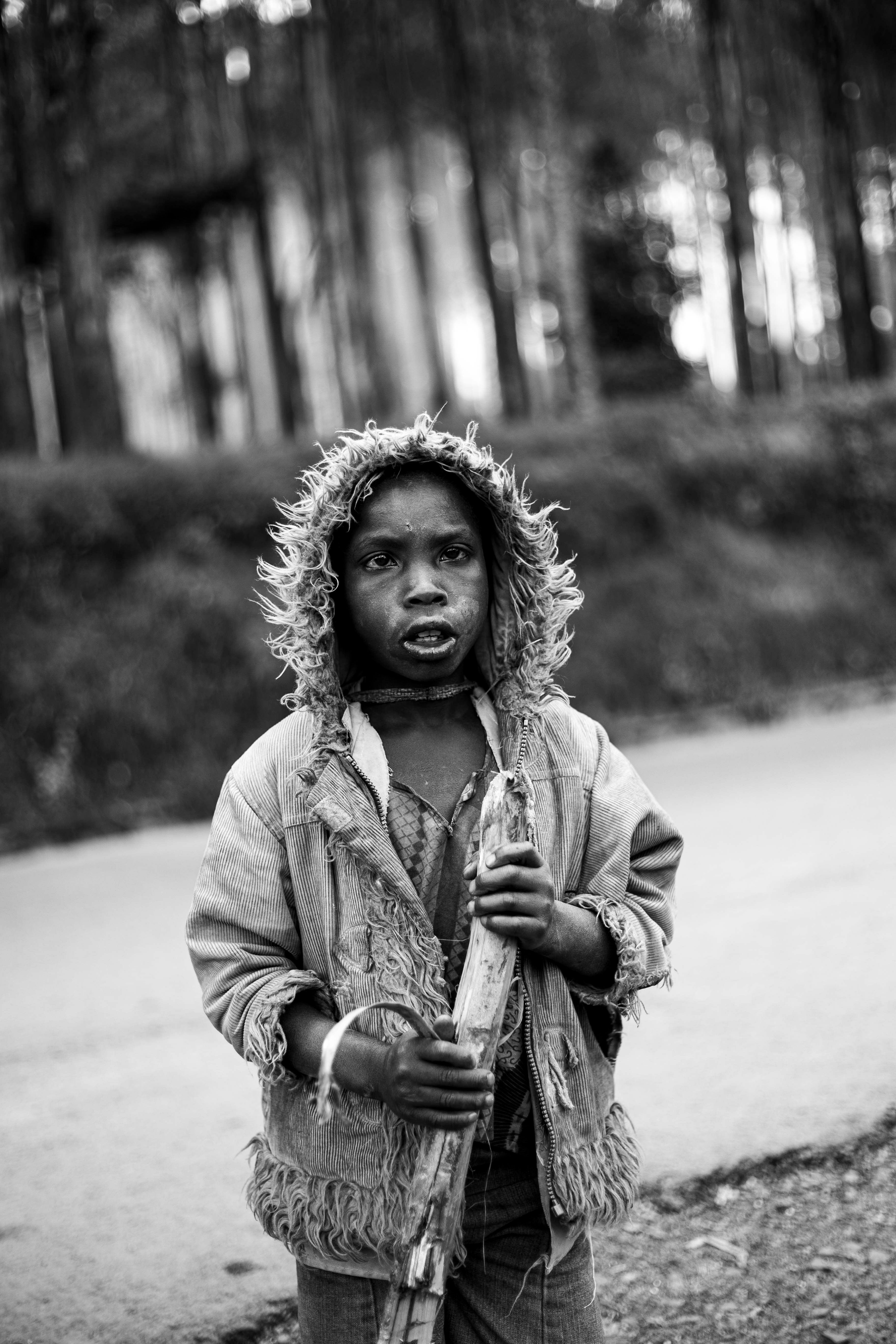 3,000+ Best Stick Photos · 100% Free Download · Pexels Stock Photos