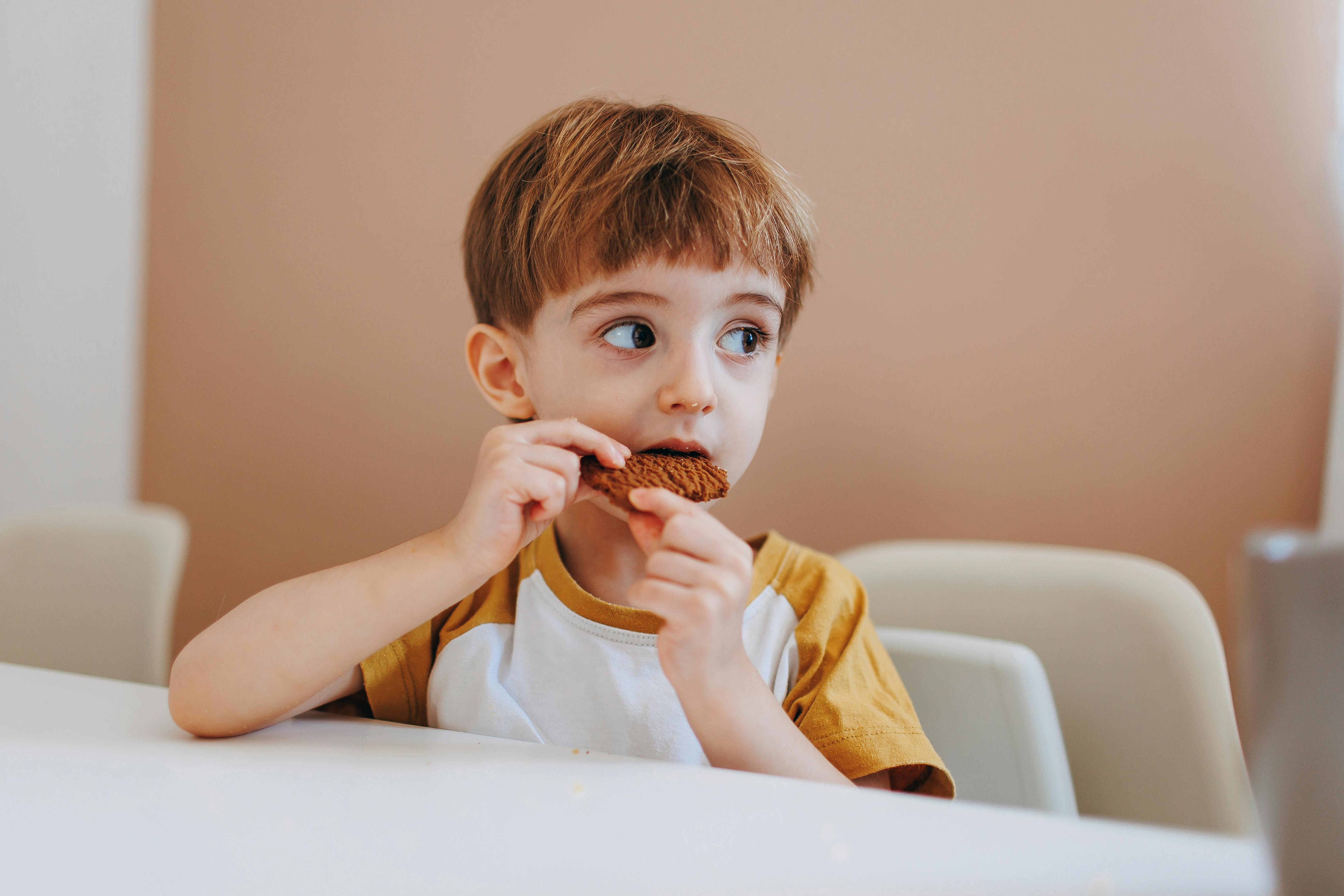 Cute Young Boy eating a Cookie · Free Stock Photo