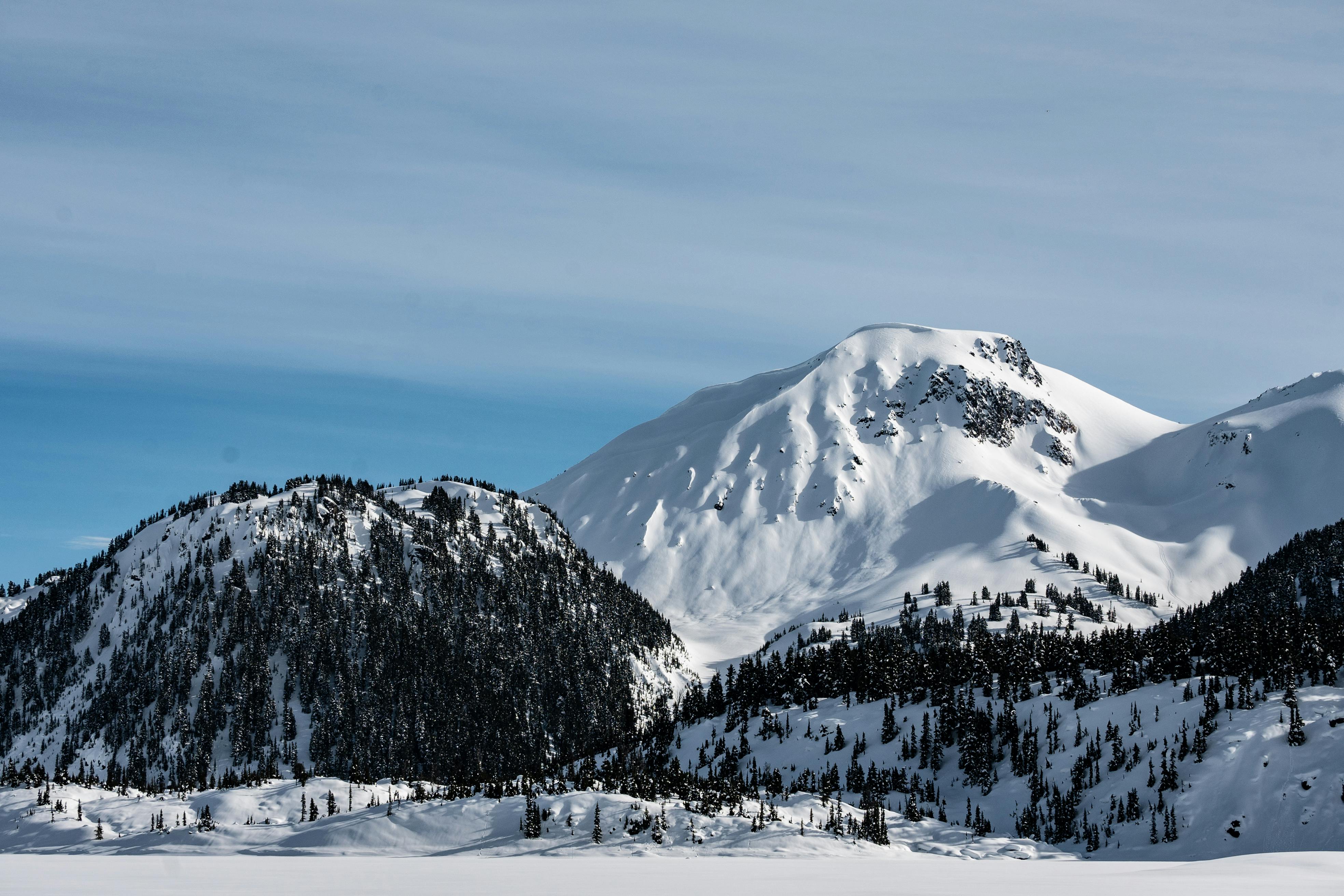 Trees on Snow Capped Mountain · Free Stock Photo