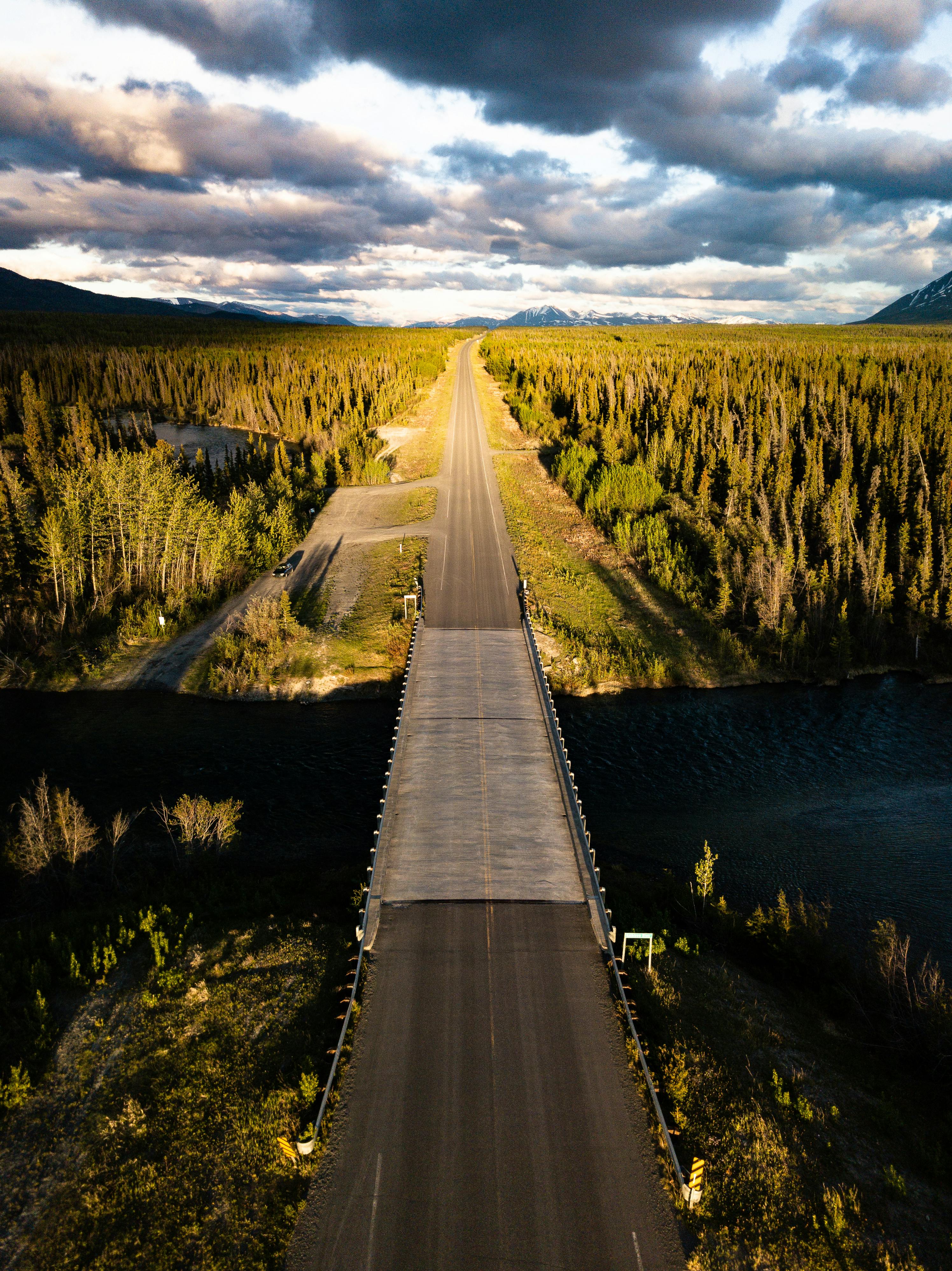 Asphalt Road with Bridge in Between Green Trees · Free Stock Photo