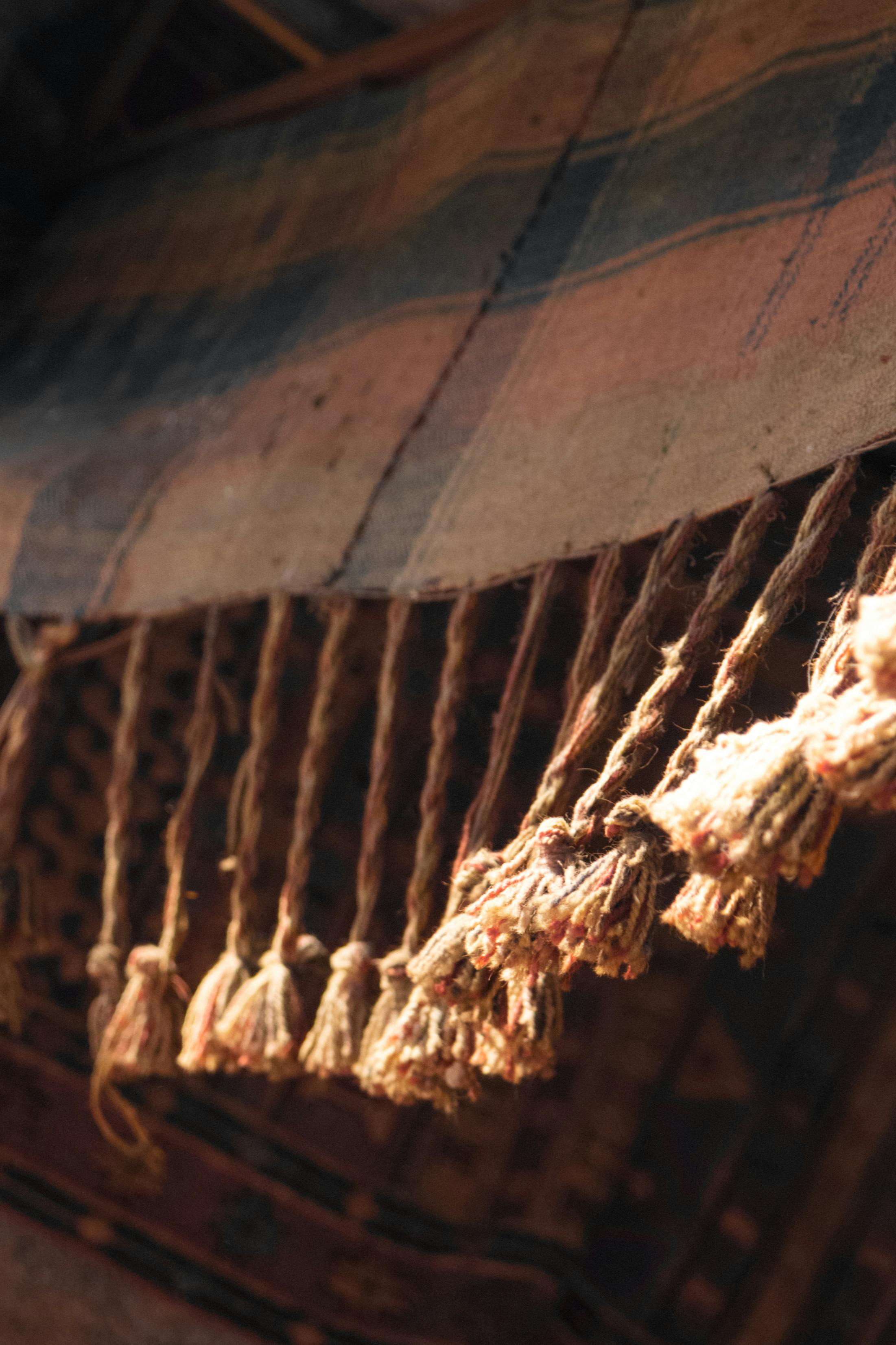 Tussels Photos, Download The BEST Free Tussels Stock Photos & HD Images