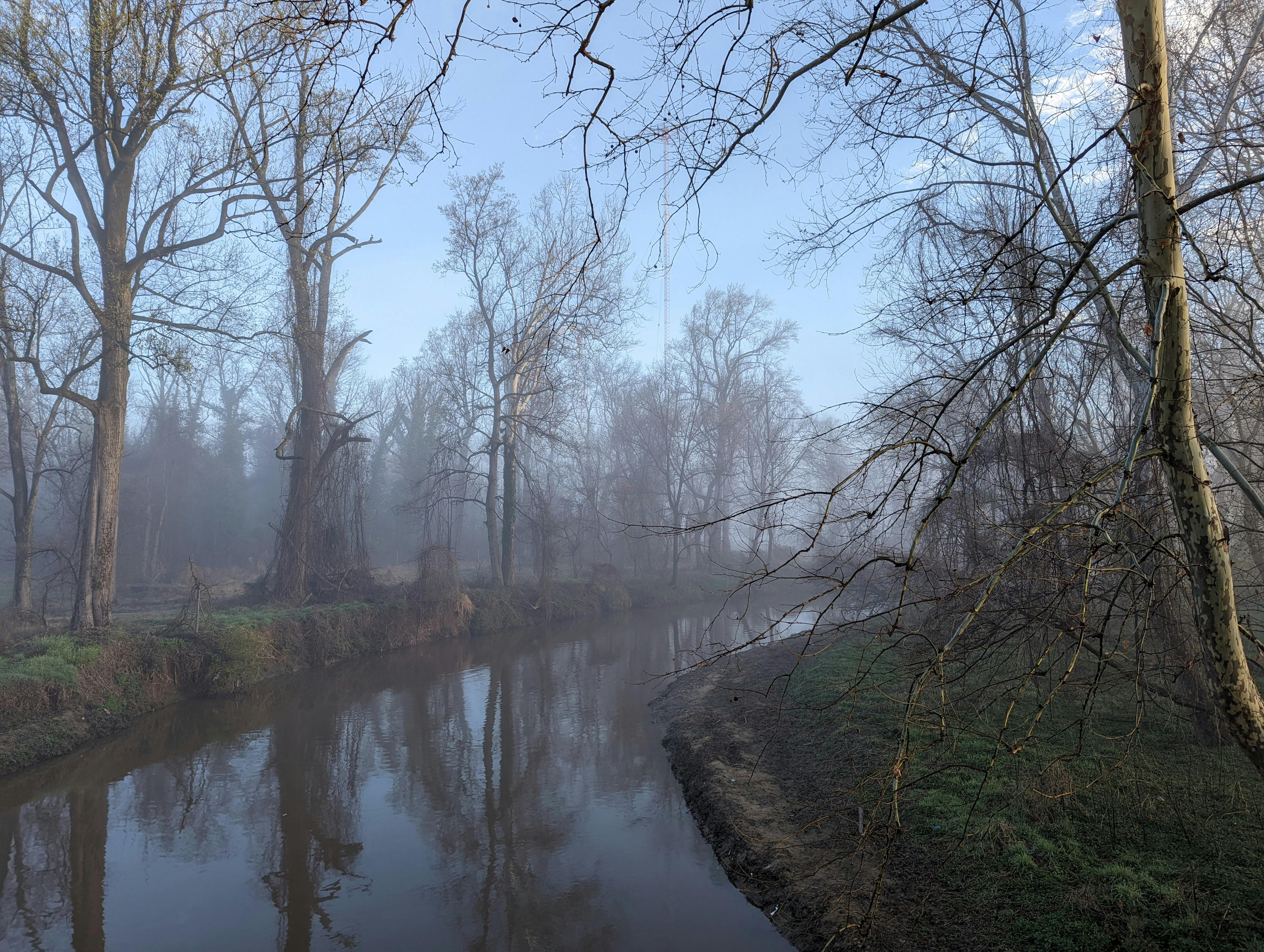 Samuel Mouse – Fotografia