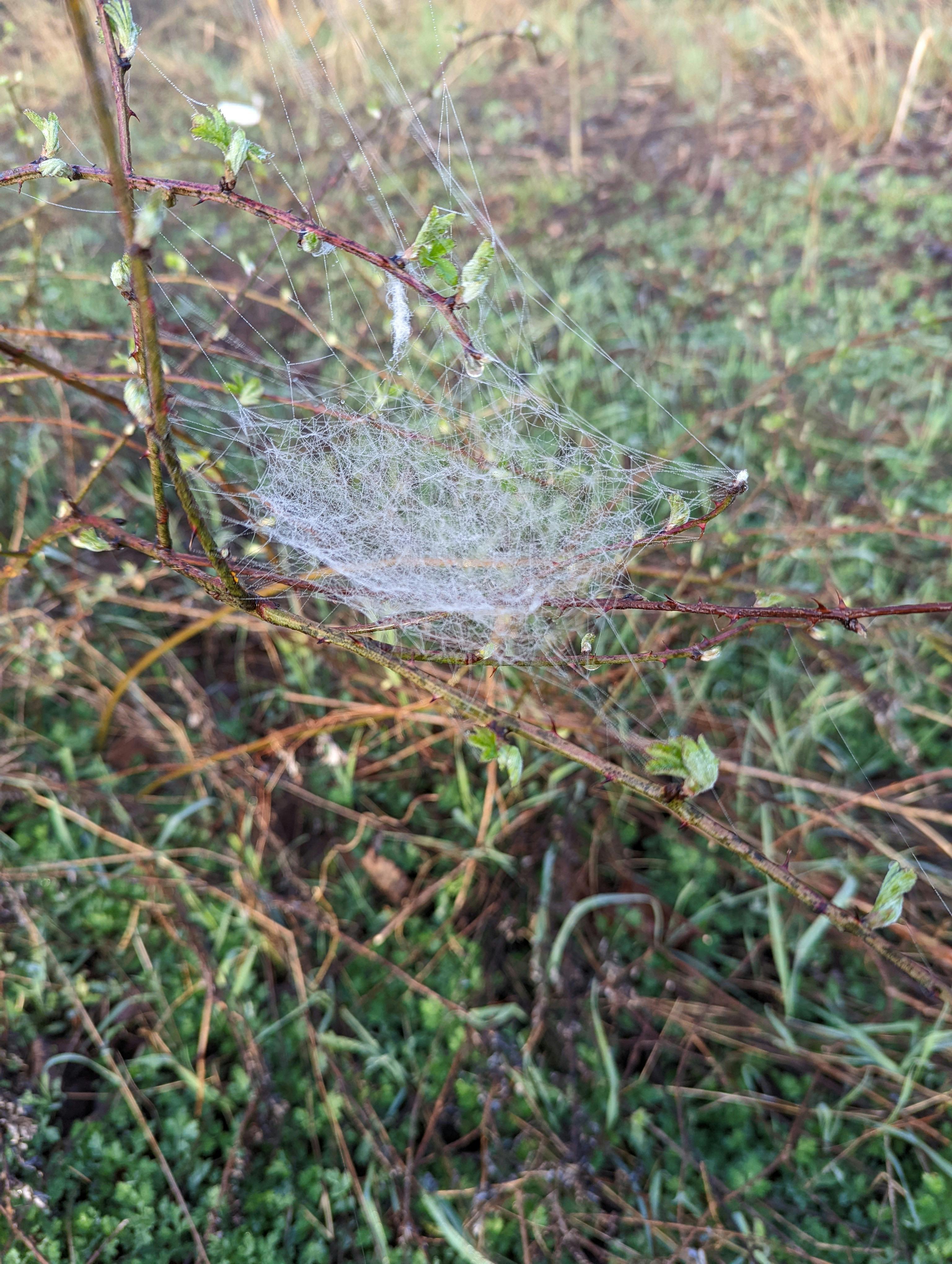 Samuel Mouse – Fotografia