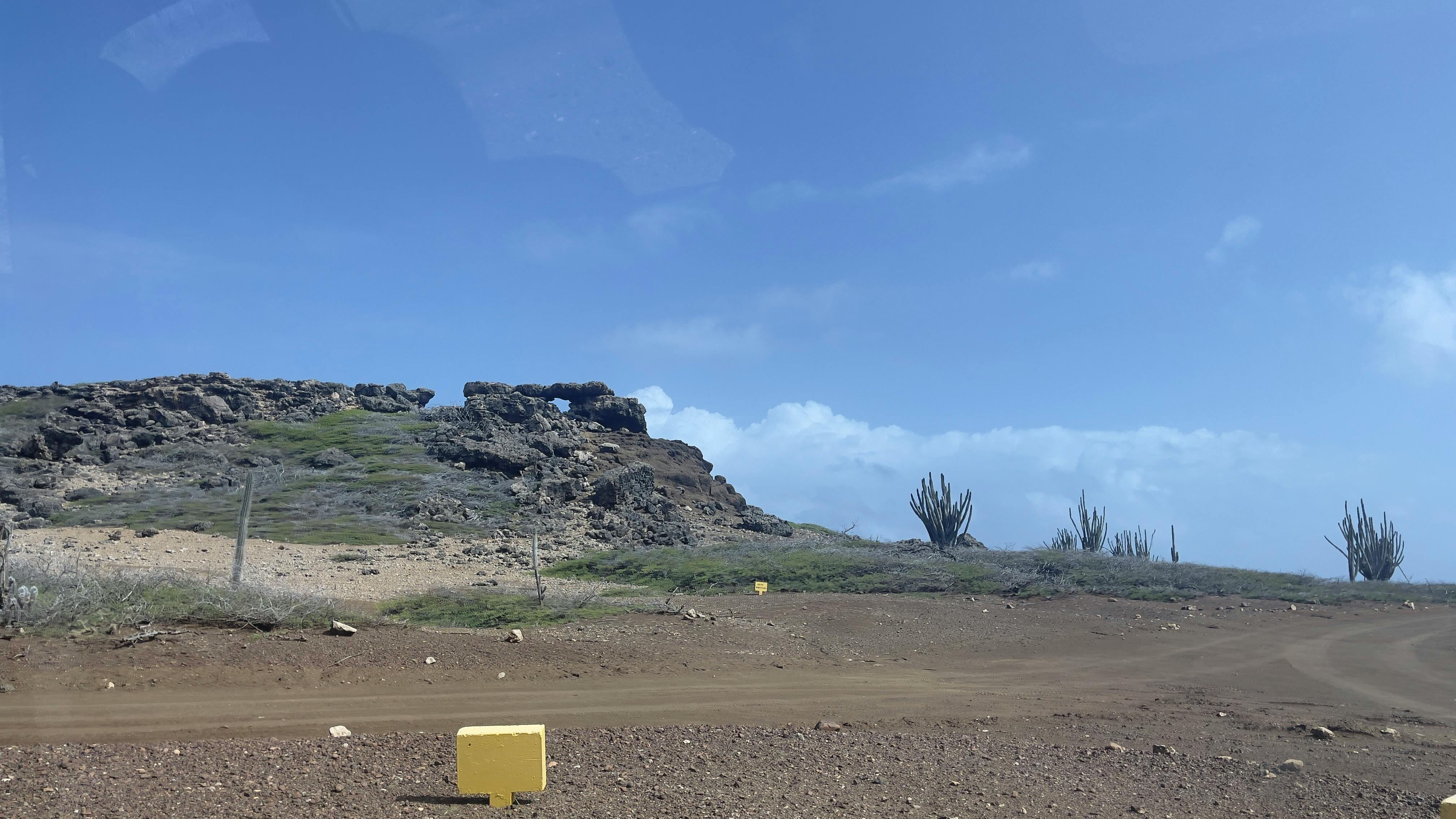 Dineke Van der Lei - Photography