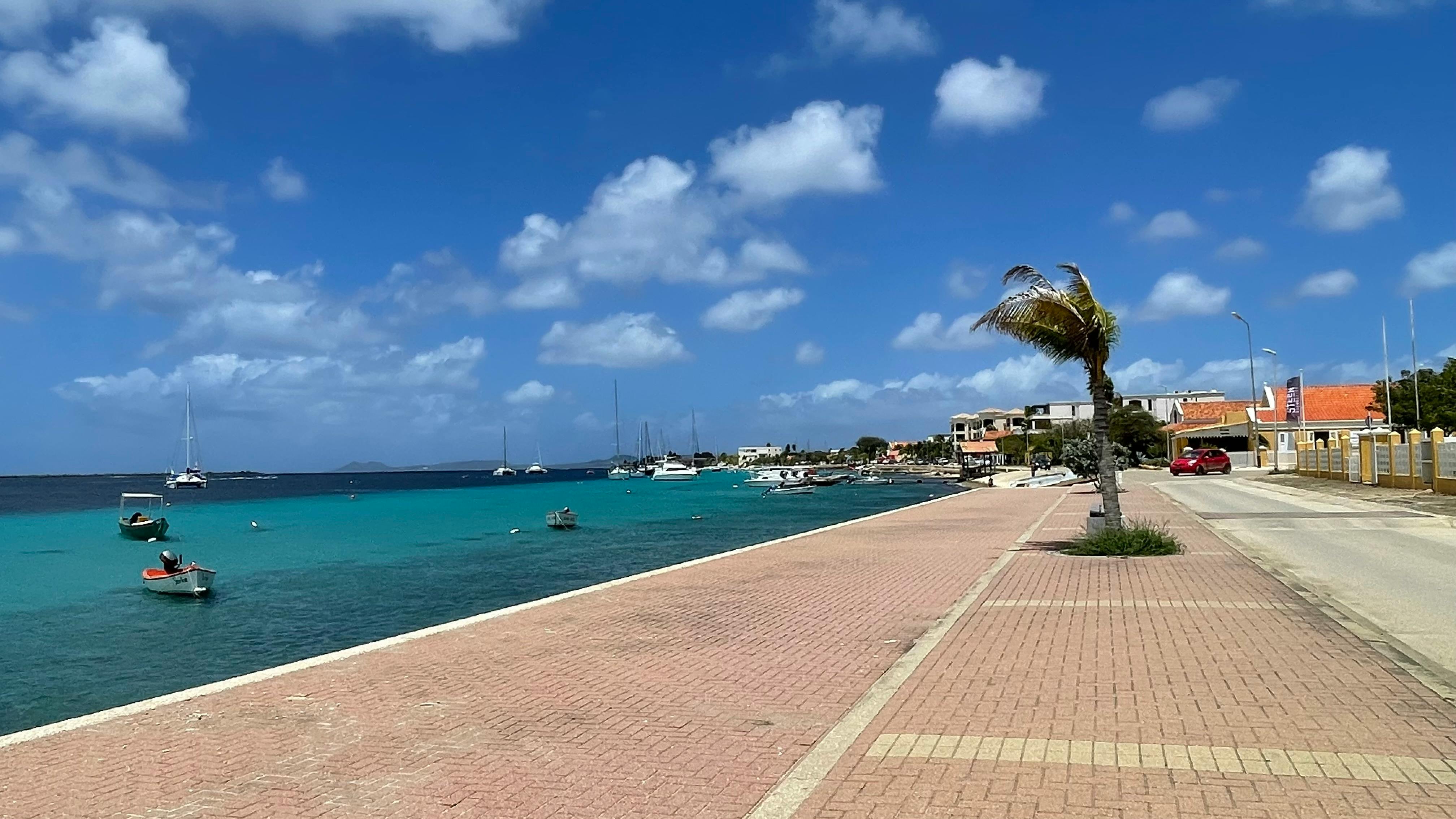 Dineke Van der Lei - 사진