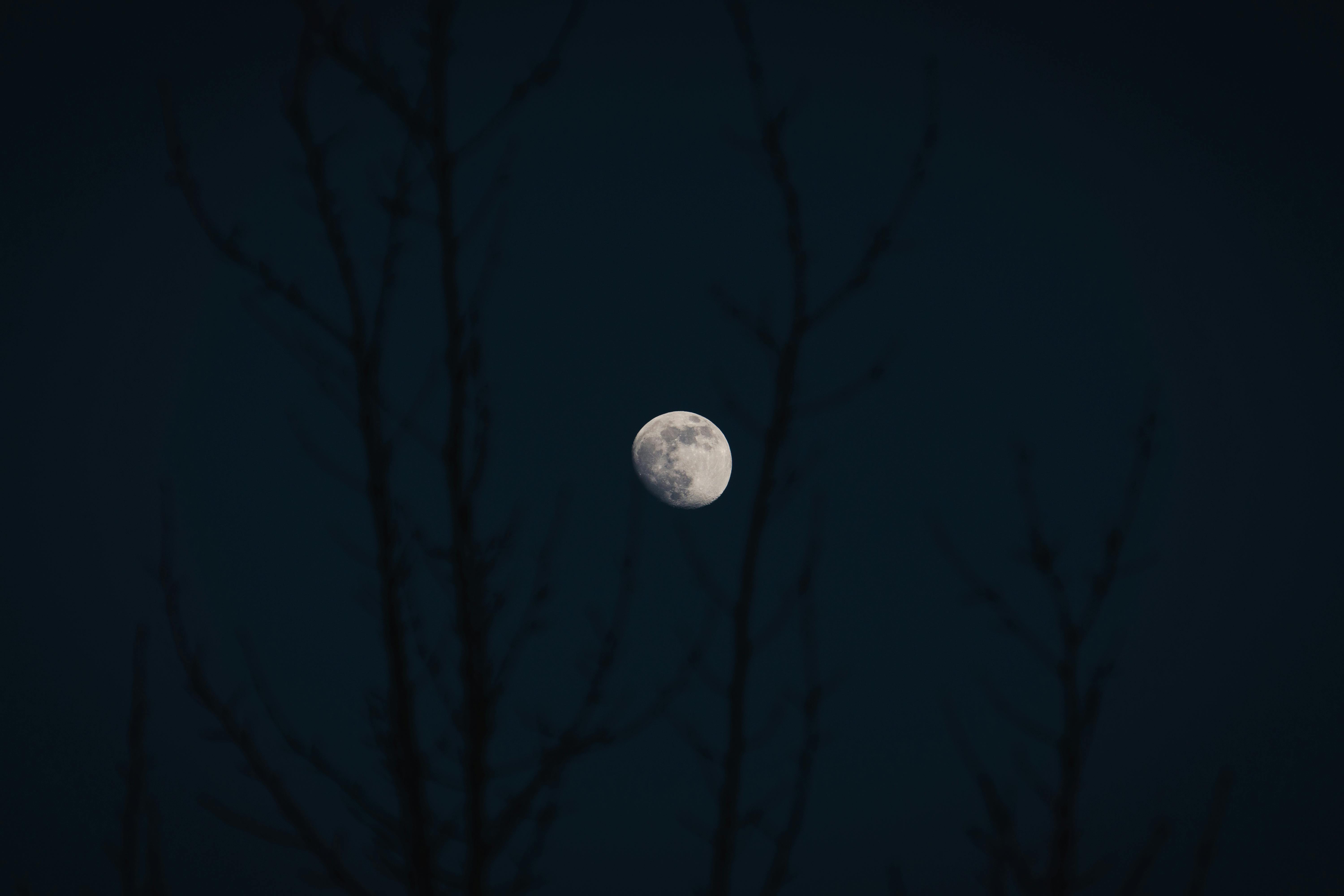 20,000+ Best Night Moon Photos · 100% Free Download · Pexels Stock Photos