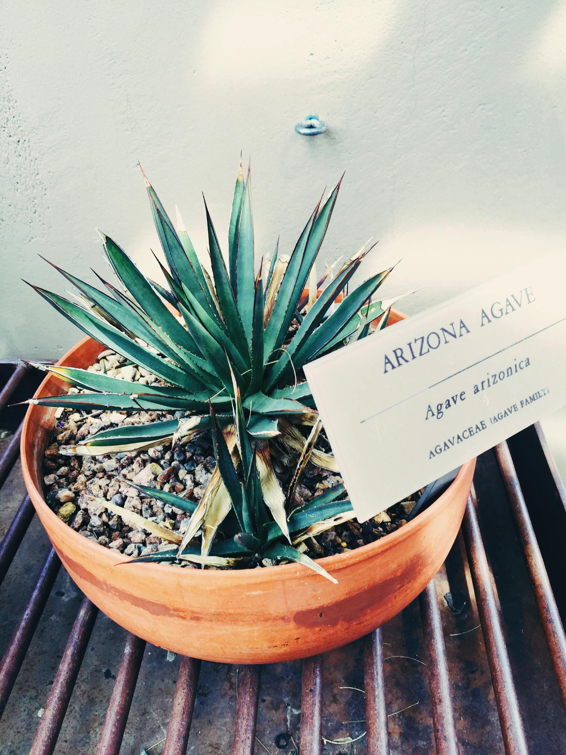 Hui Huang - Photography